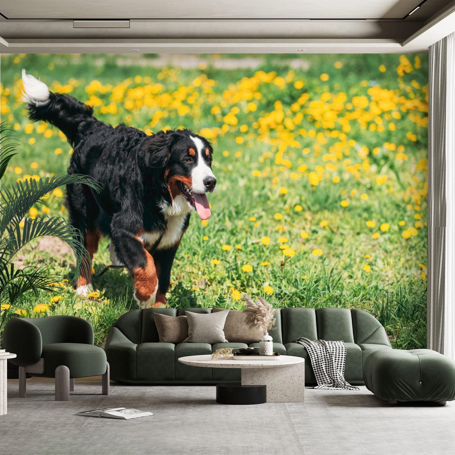 Peel and Stick Canvas Wallpaper Wall Mural bernese mountain dog berner ...