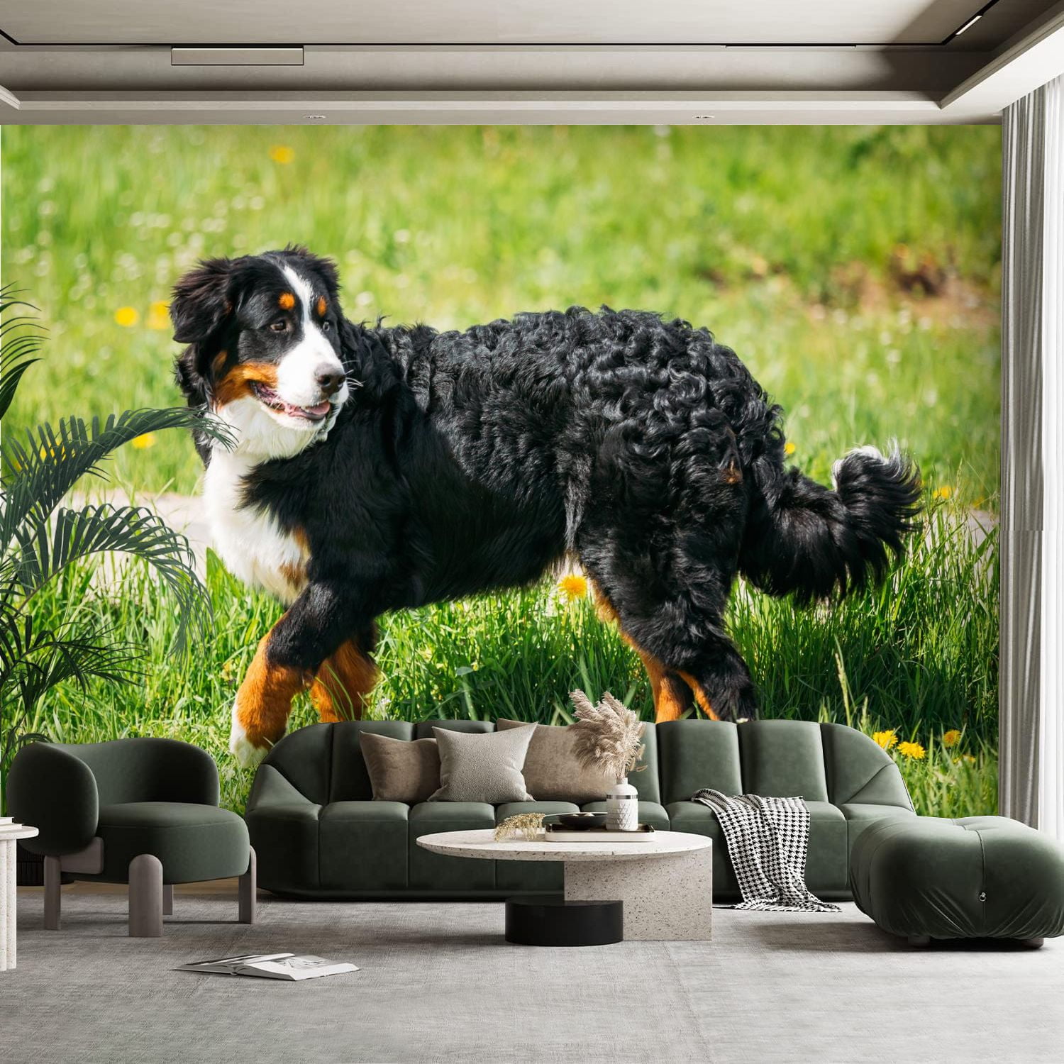 Peel and Stick Canvas Wallpaper Wall Mural bernese mountain dog berner ...