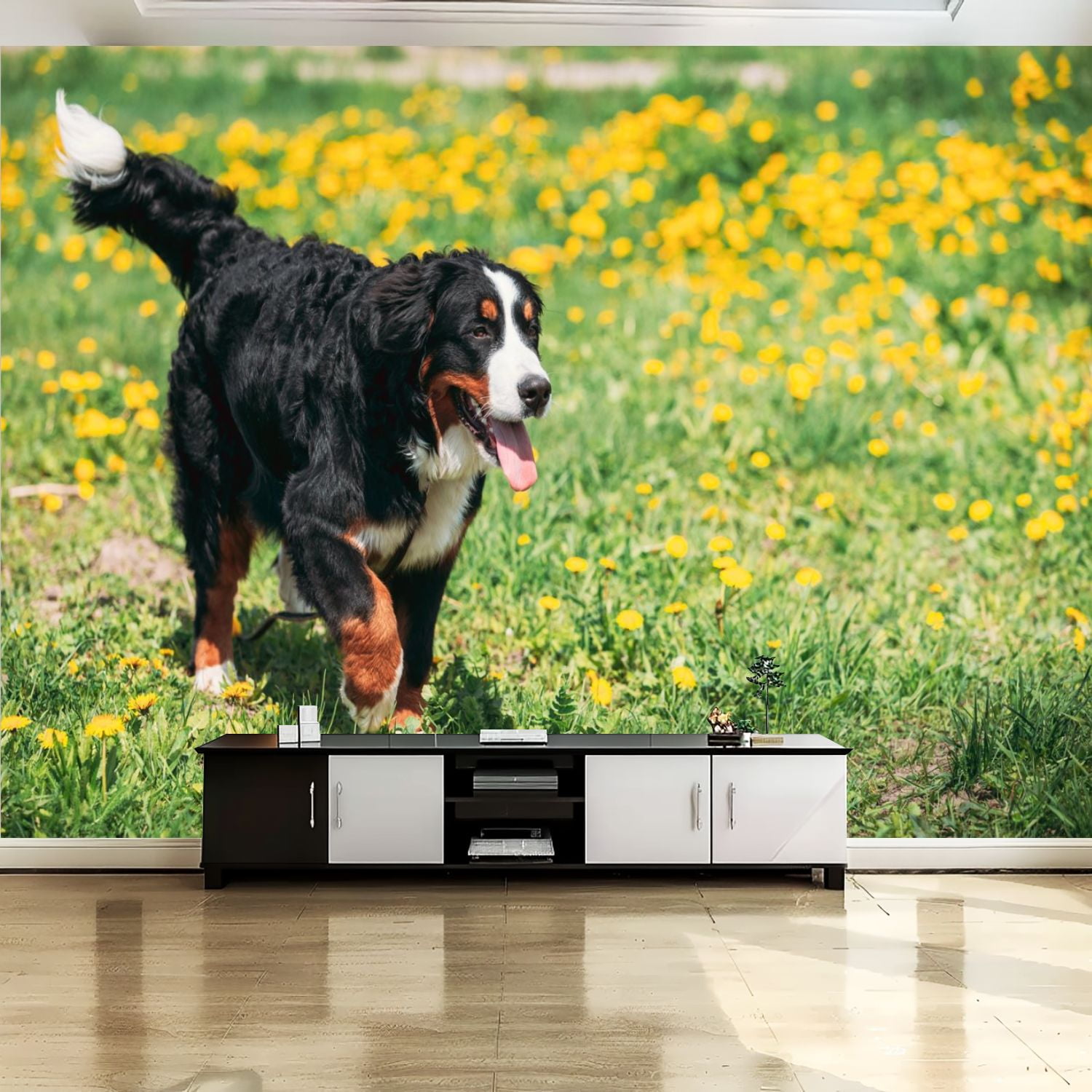 Peel and Stick Canvas Wallpaper Wall Mural bernese mountain dog berner ...