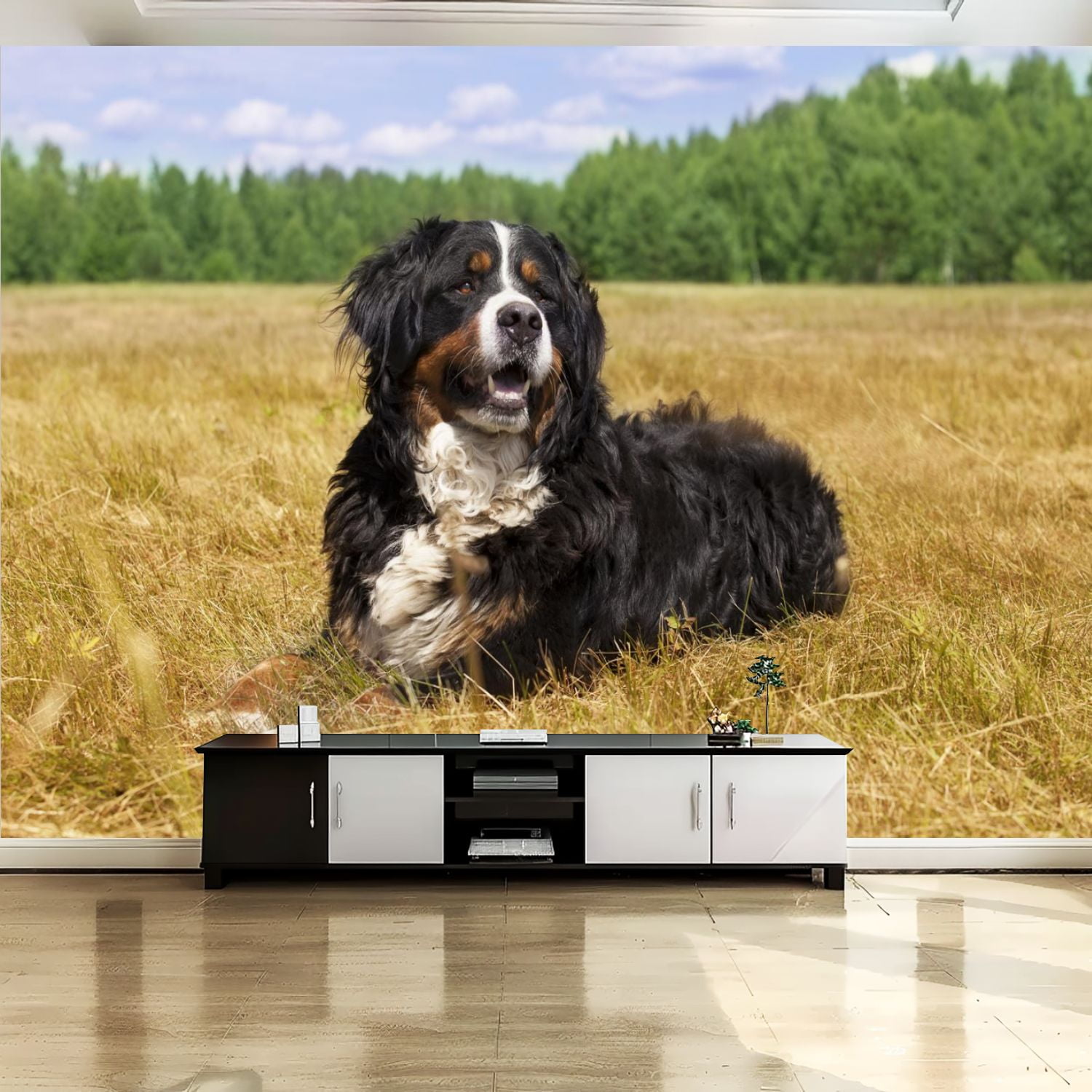 Peel and Stick Canvas Wallpaper Wall Mural bernese mountain dog ...