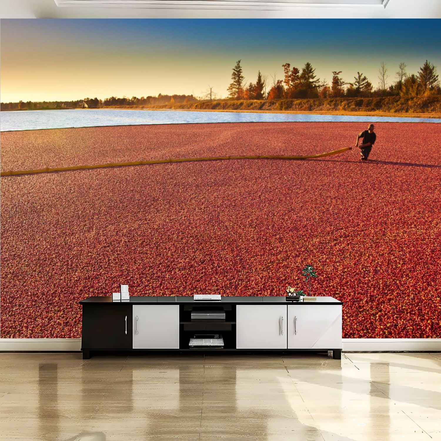 Peel and Stick Canvas Wallpaper Wall Mural farm worker cranberry bog ...