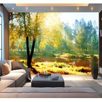 Peel and Stick Wallpaper sun breaking Modern Art Wall Mural Decor Self ...