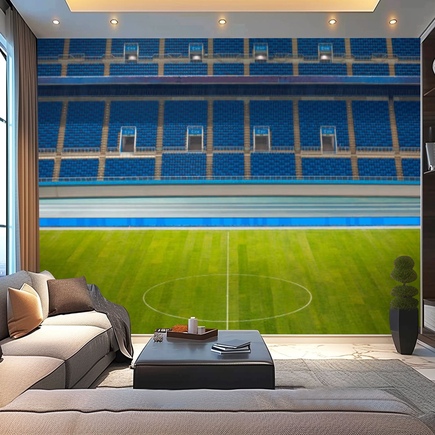 Peel and Stick Canvas Wallpaper Rows seats within indoor stadium grass ...