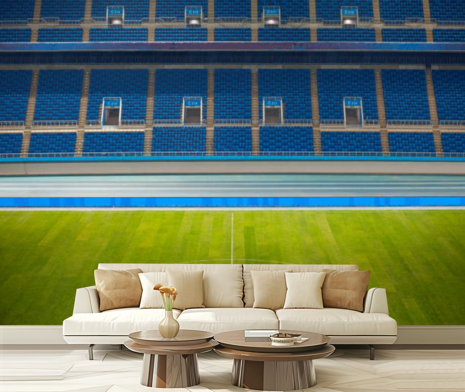 Peel and Stick Canvas Wallpaper Rows seats within indoor stadium grass ...