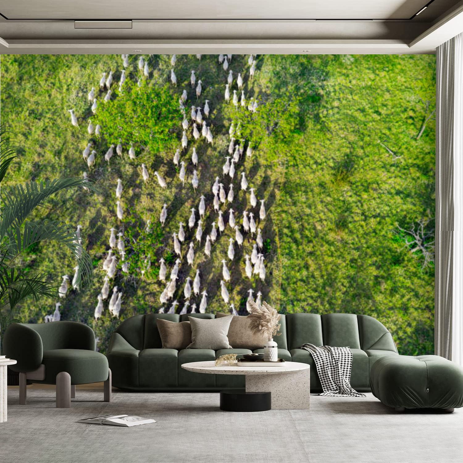 Peel and Stick Canvas Wallpaper Wall Mural Aerial view sheeps herd ...