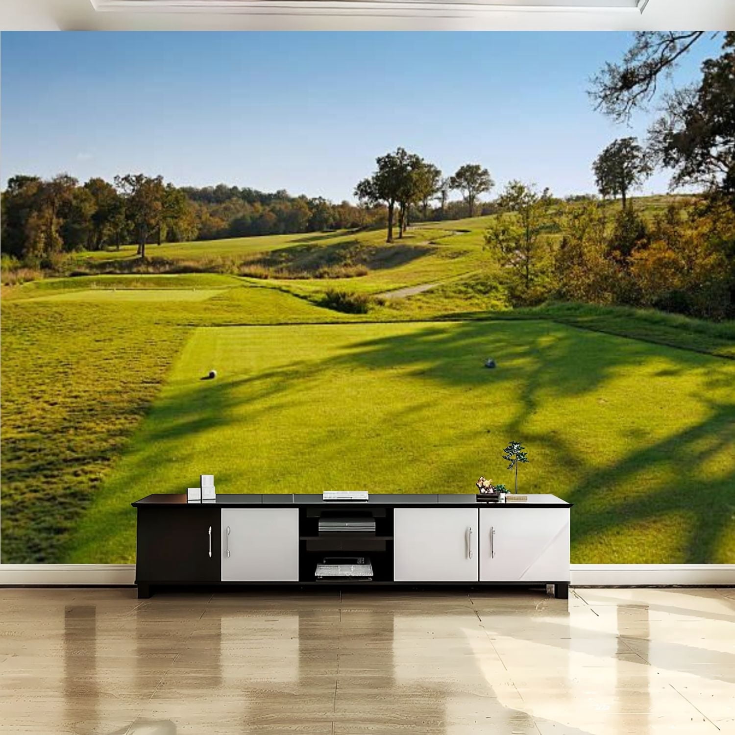 Peel and Stick Canvas Wallpaper Wall Mural Austin Texas Landscape Wall ...
