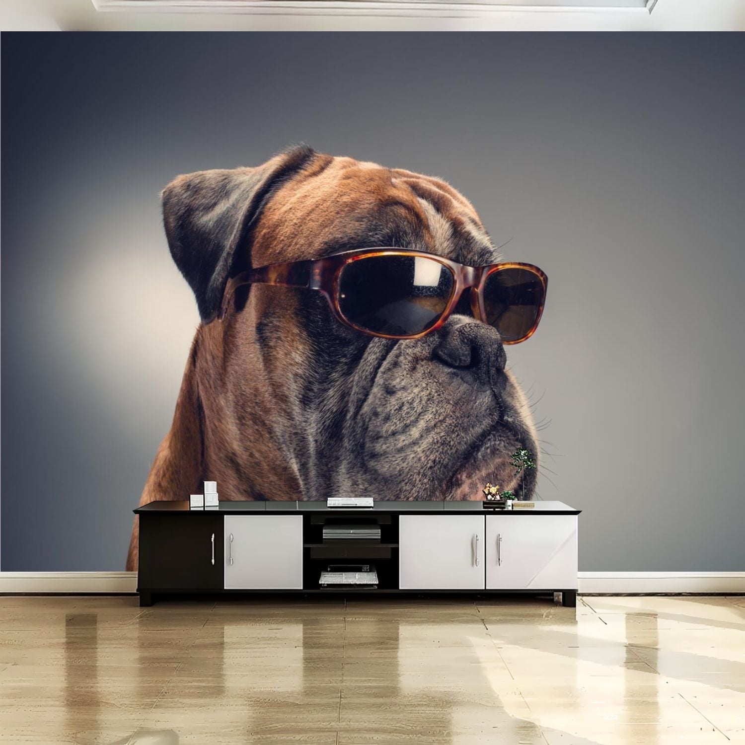 Peel and Stick Canvas Wallpaper Wall Mural Boxer dog sunglasses Wall ...
