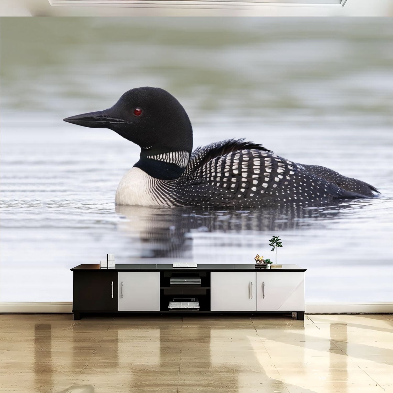 Peel and Stick Canvas Wallpaper Wall Mural Common Loon Swimming Lake ...