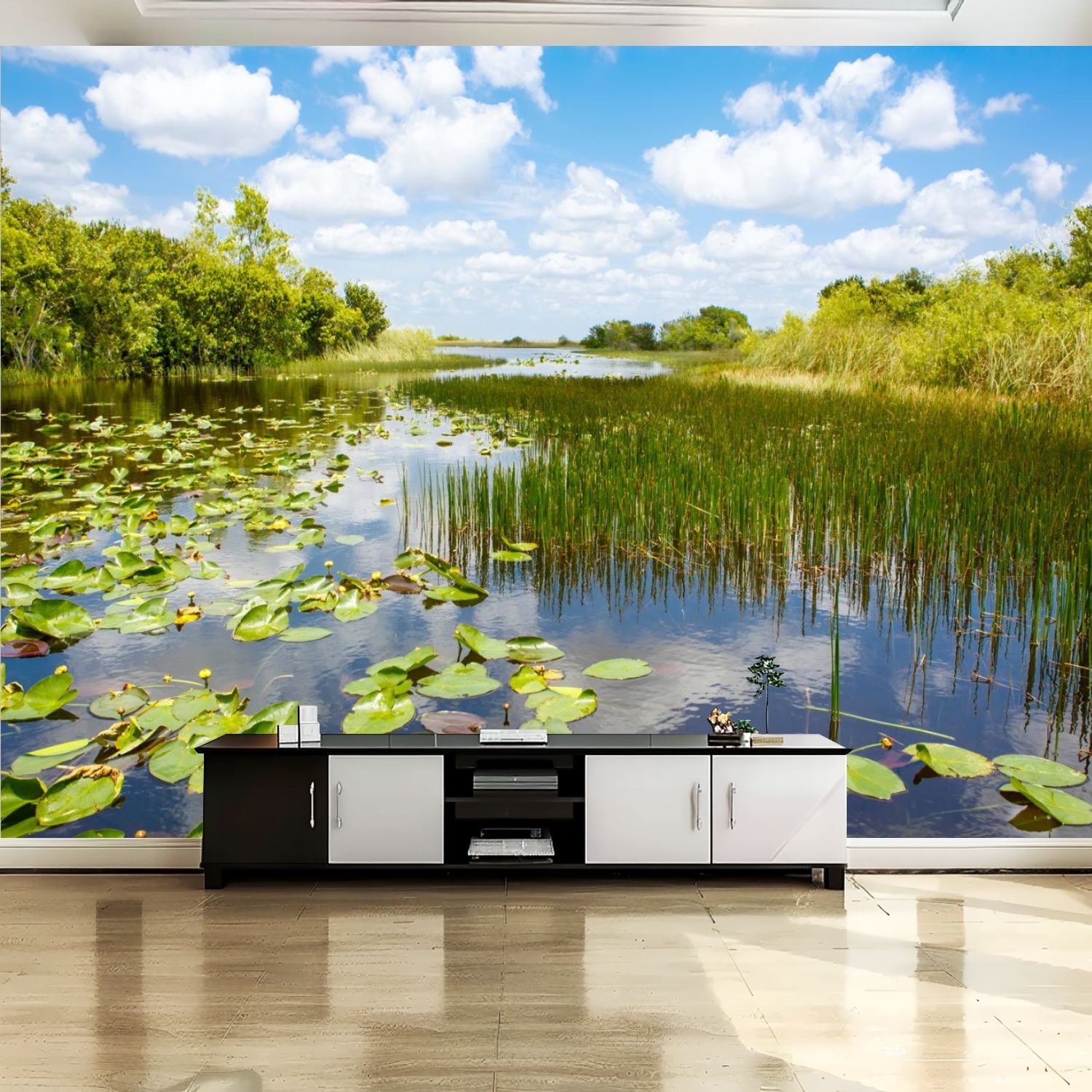 Peel and Stick Canvas Wallpaper Wall Mural Florida wetland Airboat ride ...