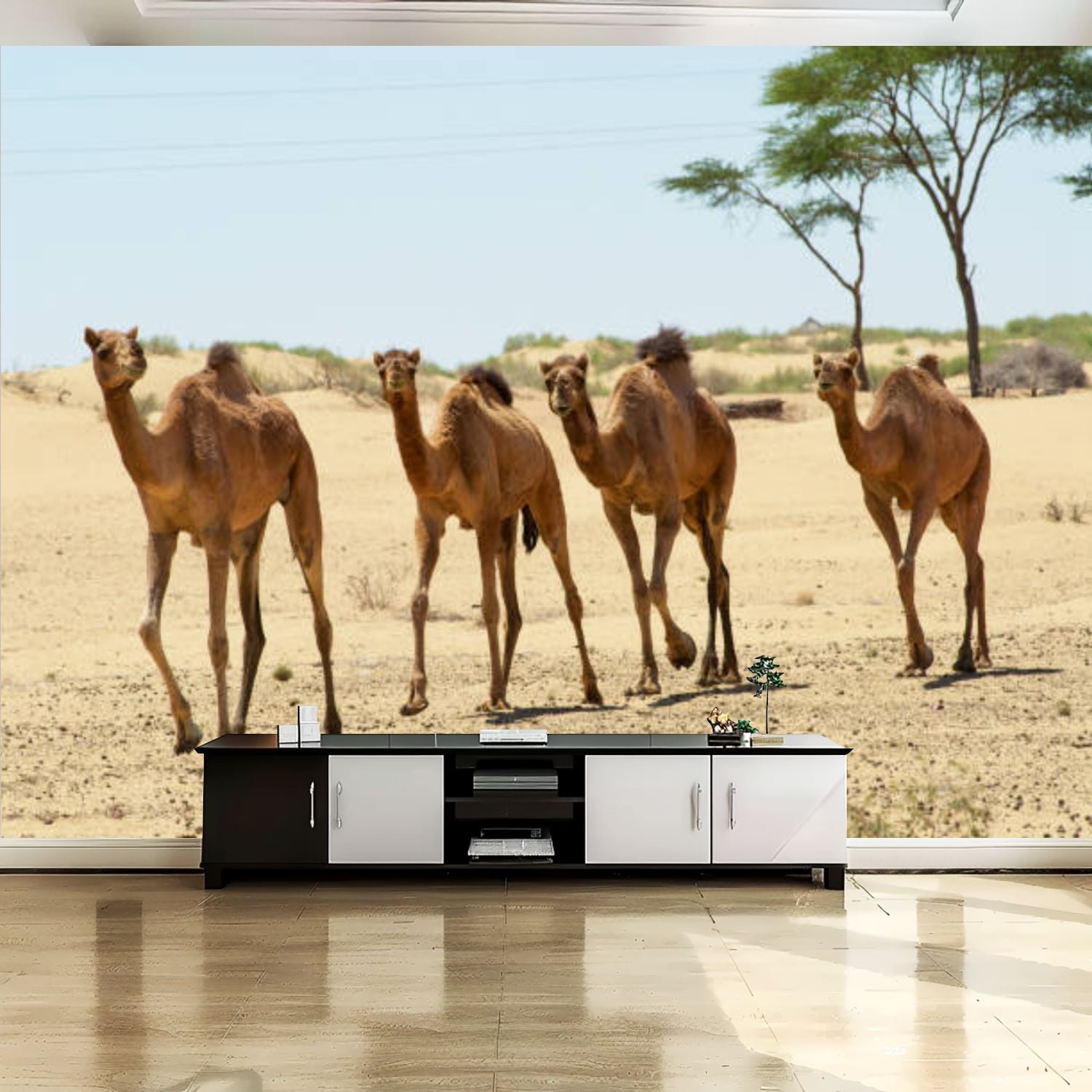 Peel and Stick Canvas Wallpaper Wall Mural Four camels run Thar desert ...