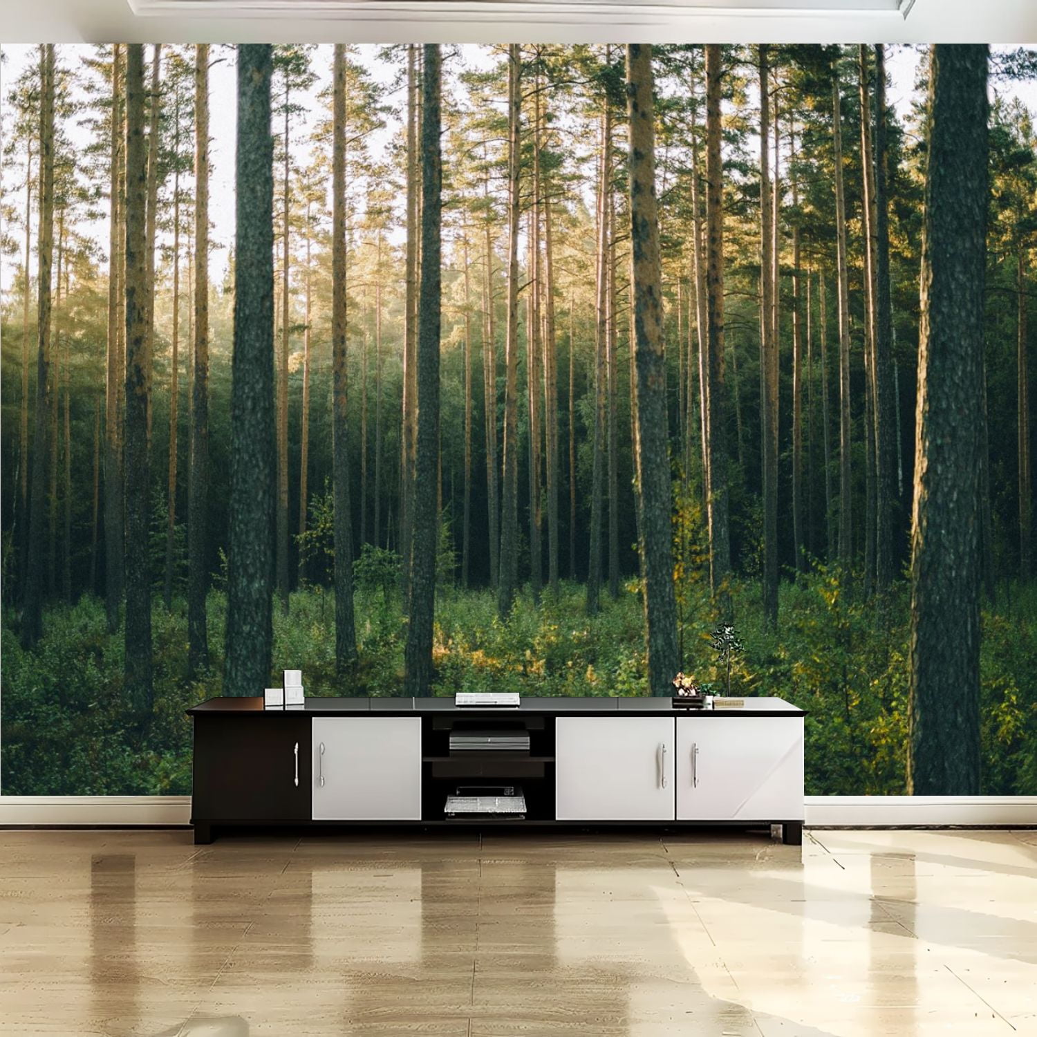 Peel and Stick Canvas Wallpaper Wall Mural Pinewood forest sunrise ...