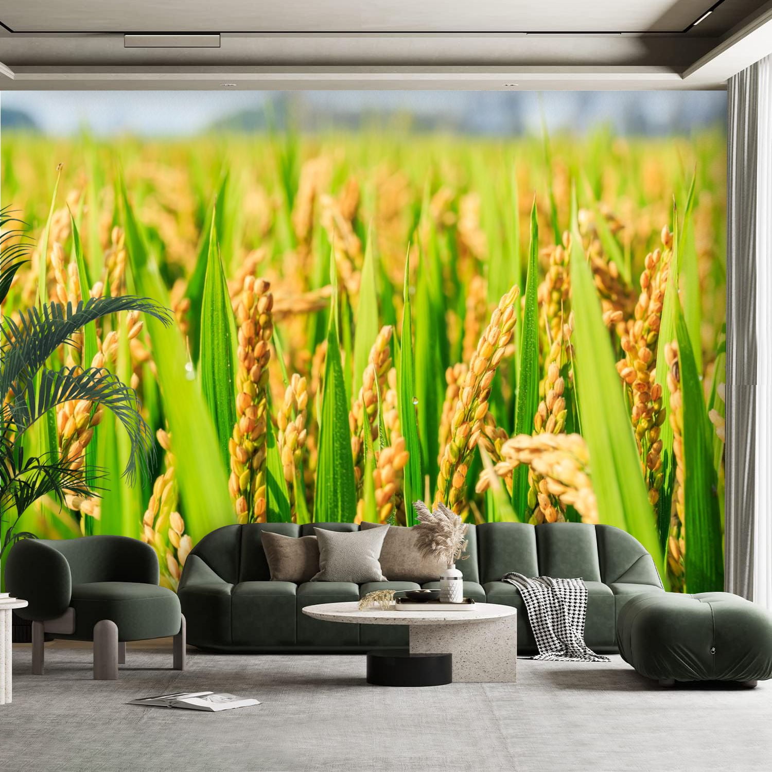 Peel and Stick Canvas Wallpaper Wall Mural Ripe rice field farmland ...