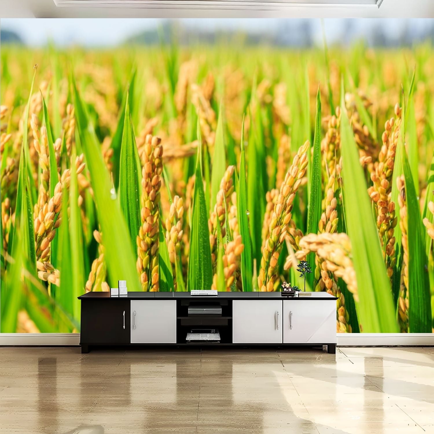 Peel and Stick Canvas Wallpaper Wall Mural Ripe rice field farmland ...