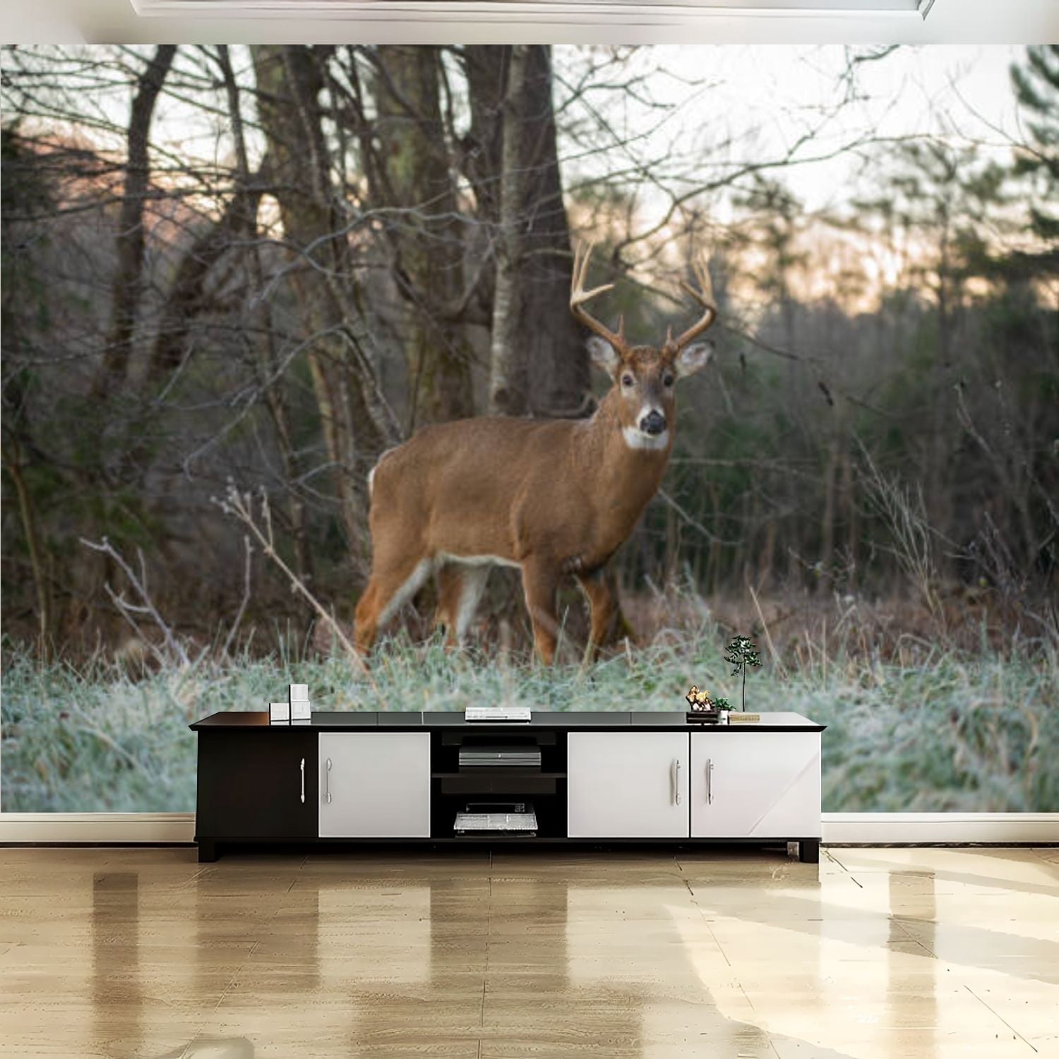 Peel and Stick Canvas Wallpaper Wall Mural White tailed deer buck open ...