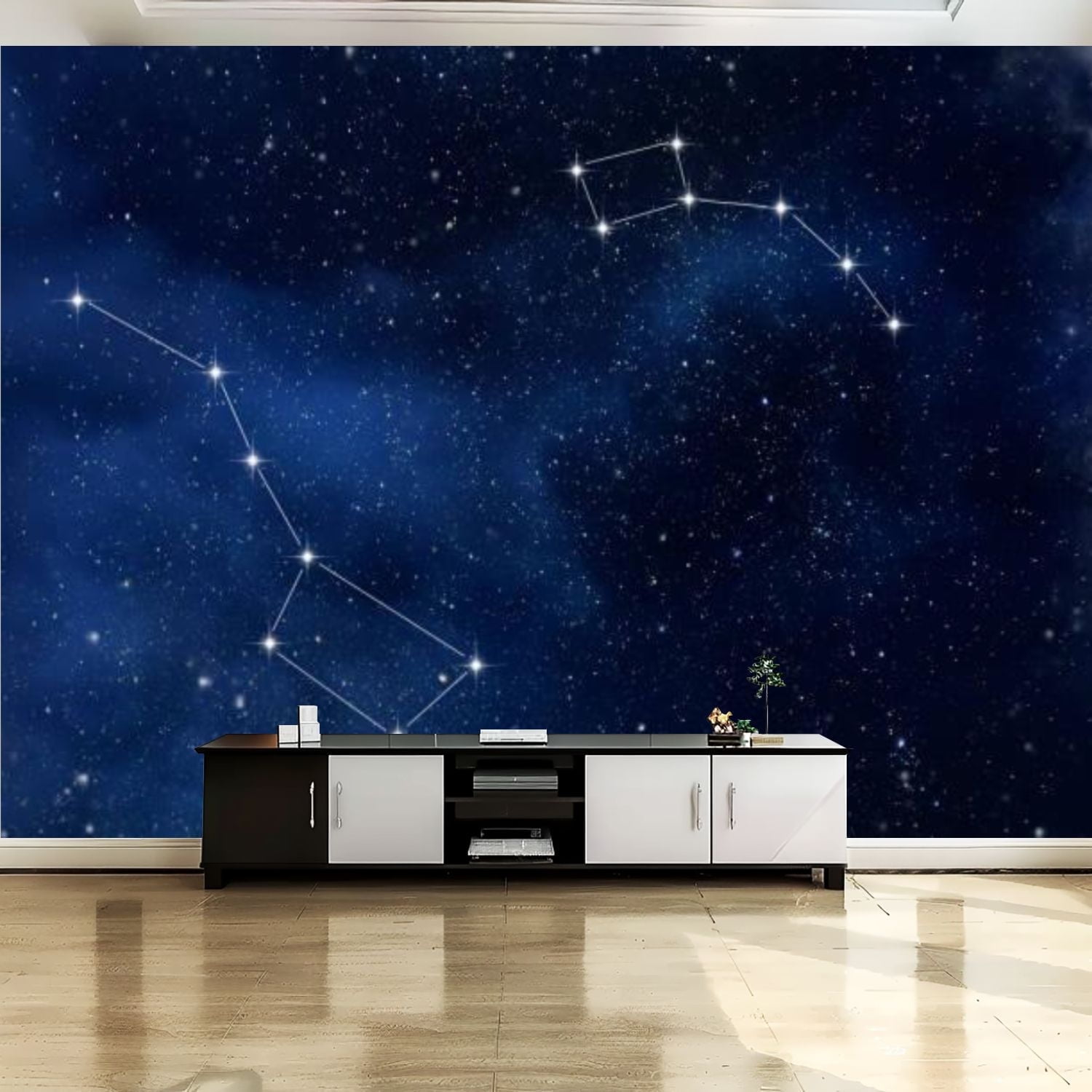 Peel and Stick Canvas Wallpaper Wall Mural constellation Major sky as ...