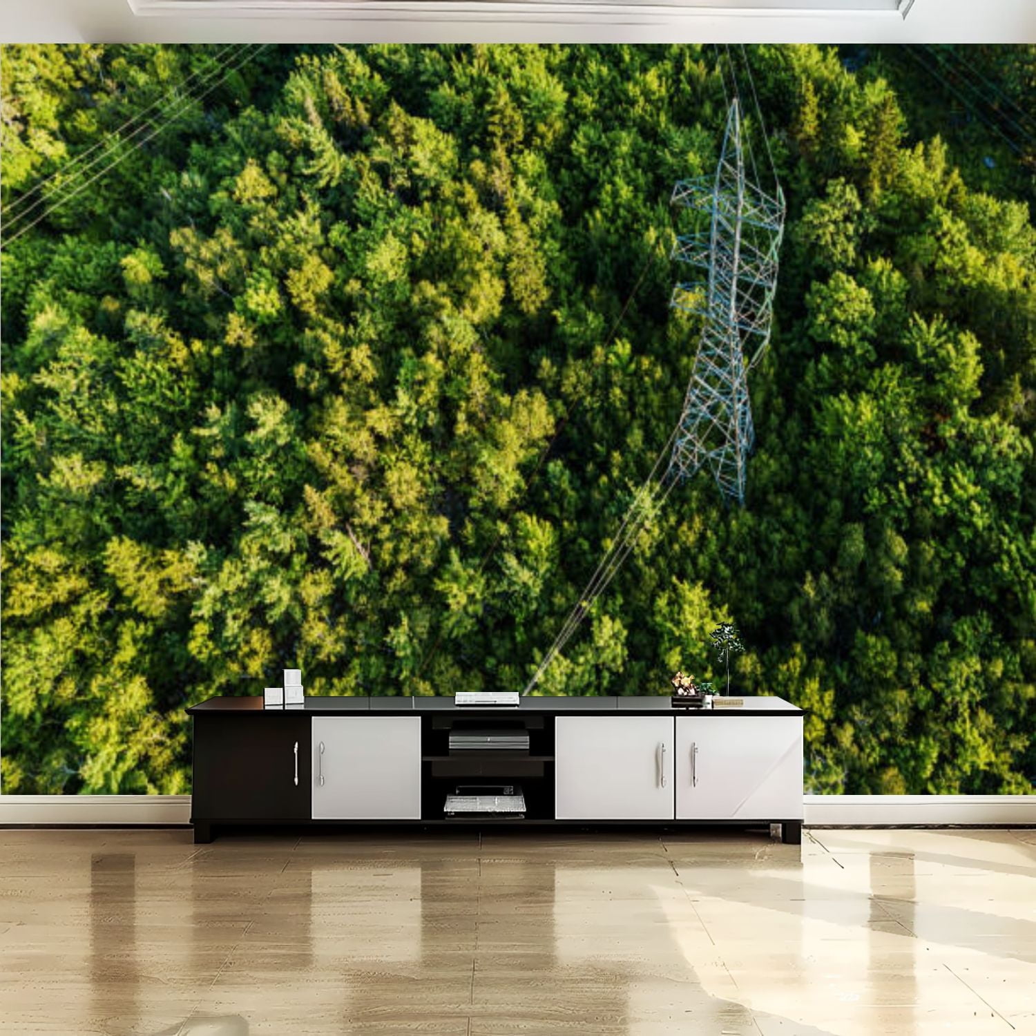 Peel and Stick Canvas Wallpaper Wall MuralAerial Drone View Power Pylon ...