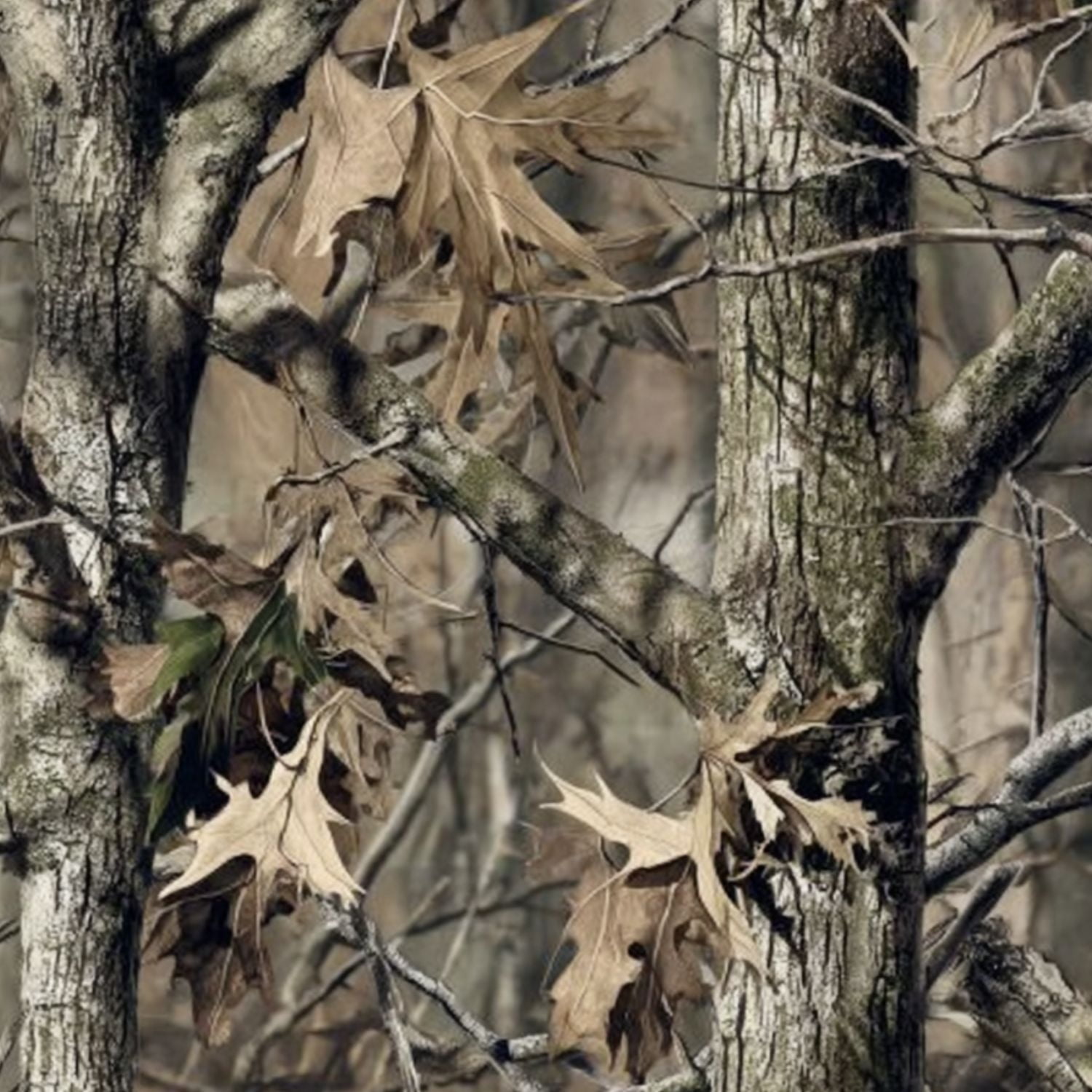 Peel and Stick Wallpaper Autumn Forest Fallen Leaves Trees Self ...