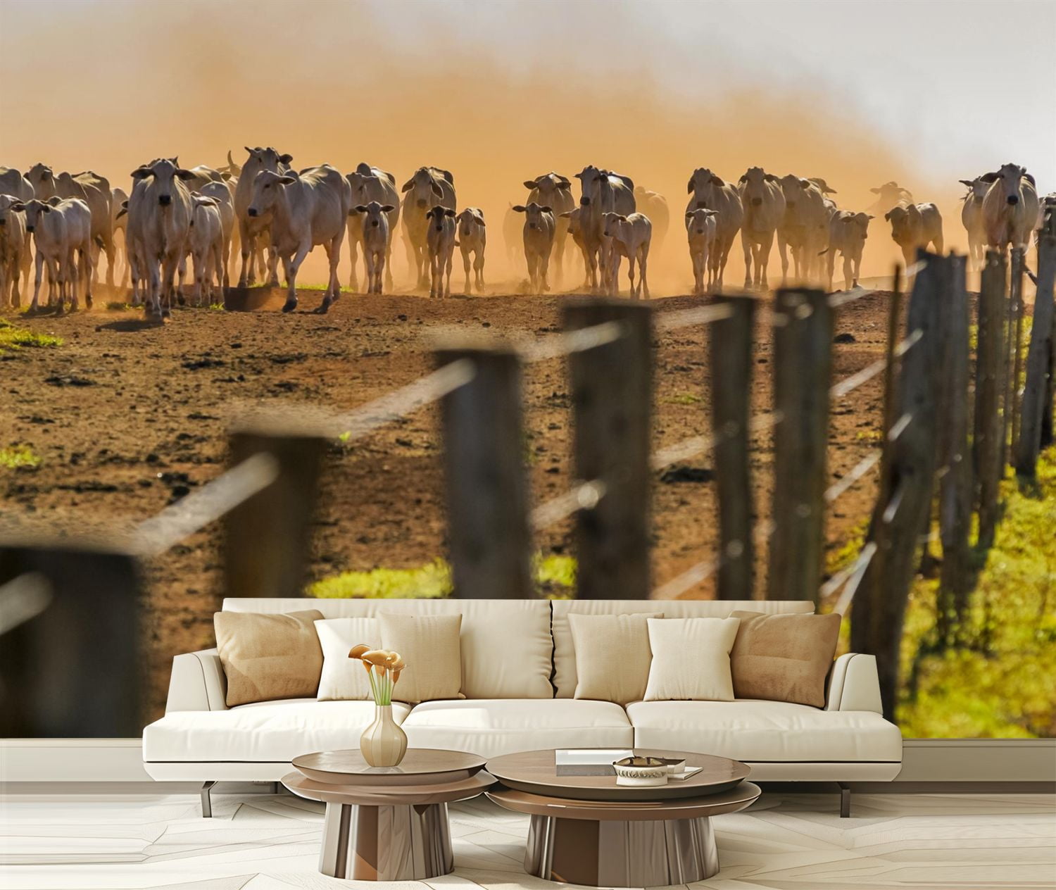 Peel and Stick Wallpaper Canvas Nellore beef cattle from Brazilian ...