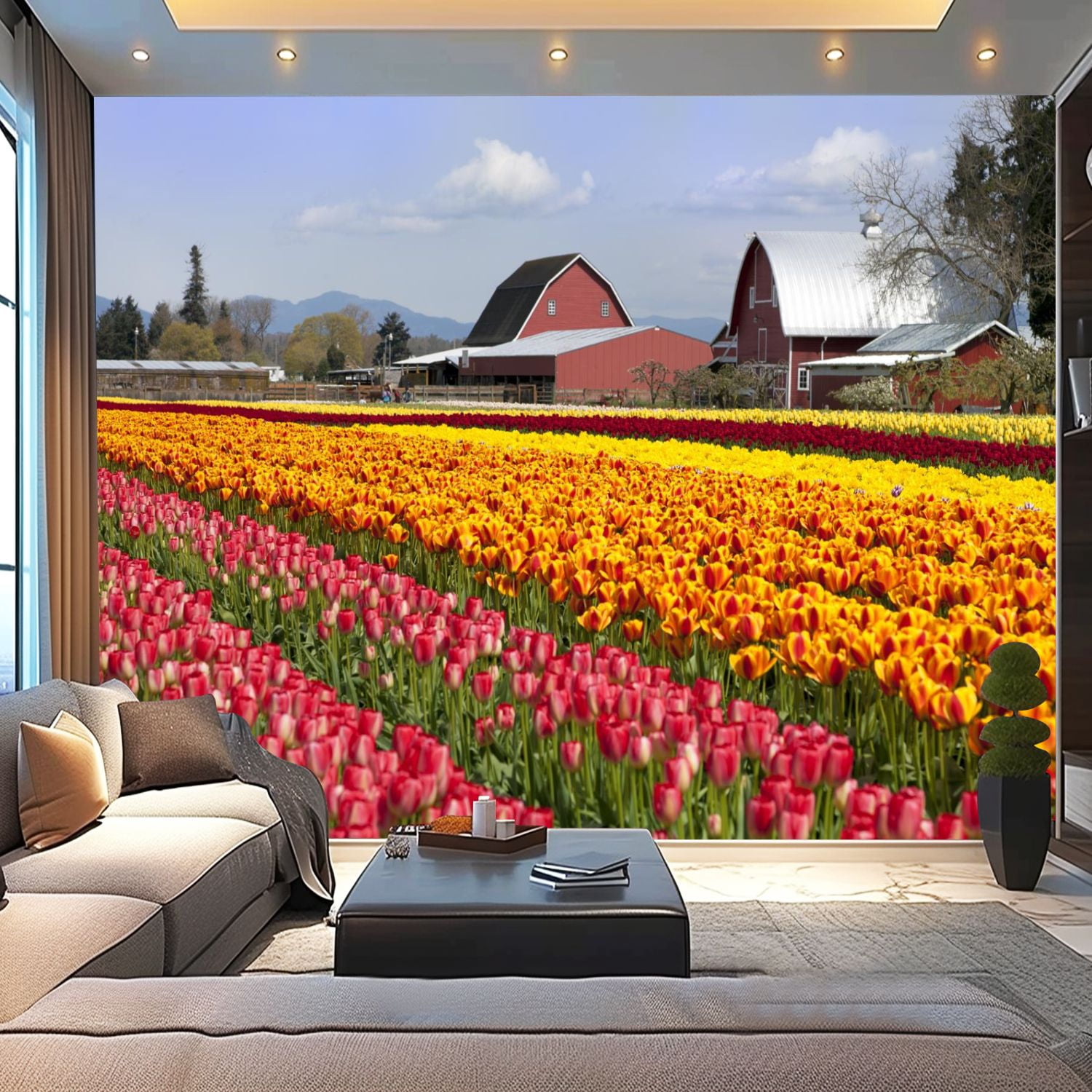 Peel and Stick Wallpaper Canvas tulip farm tulip fieldss pictures ...