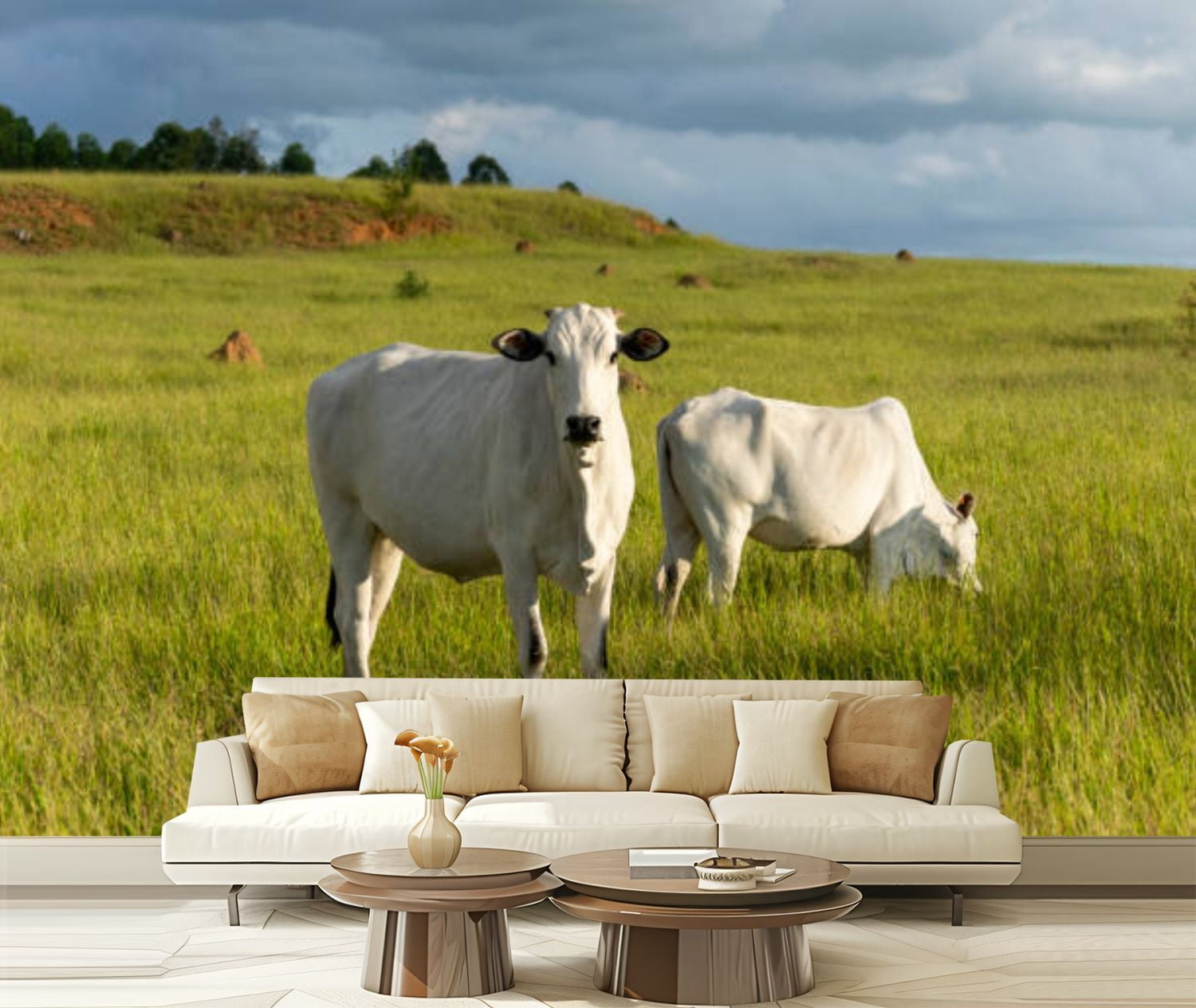 Peel and Stick Wallpaper Canvas white Nelore cattle pasture Modern Art ...
