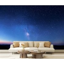 Peel and Stick Wallpaper path fog Black Forest Modern Art Wall Mural ...