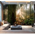 Peel and Stick Wallpaper Misty morning forest sunbeams Modern Art Wall ...
