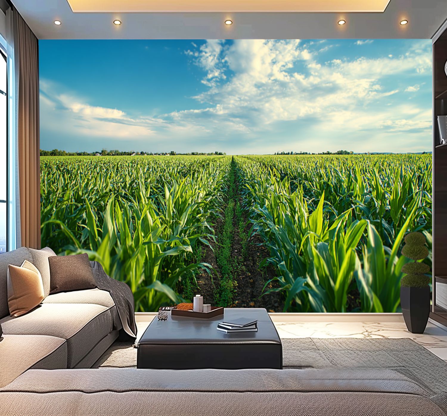 Peel and Stick Wallpaper Waterproof Green corn maize field early stage ...