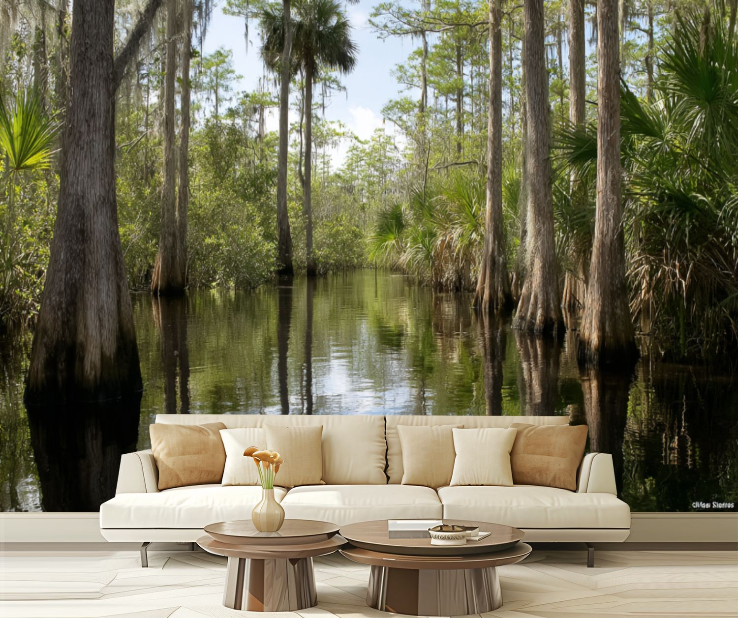 Peel and Stick Wallpaper Waterproof florida everglades cypress tree ...