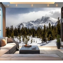 Peel and Stick Wallpaper Snow Modern Art Wall Mural Decor Self Adhesive ...