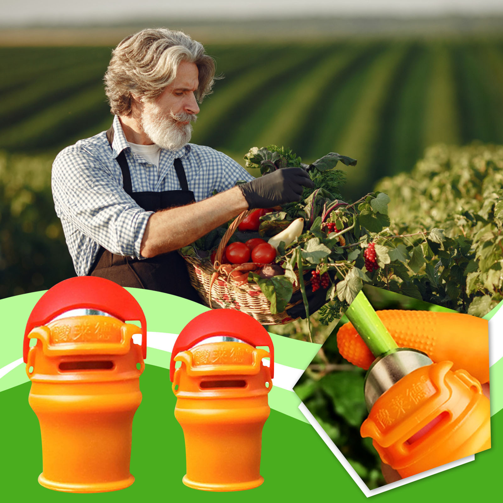 Peeling Garlic, Choosing Vegetables, Picking, Finger Guards, Picking ...