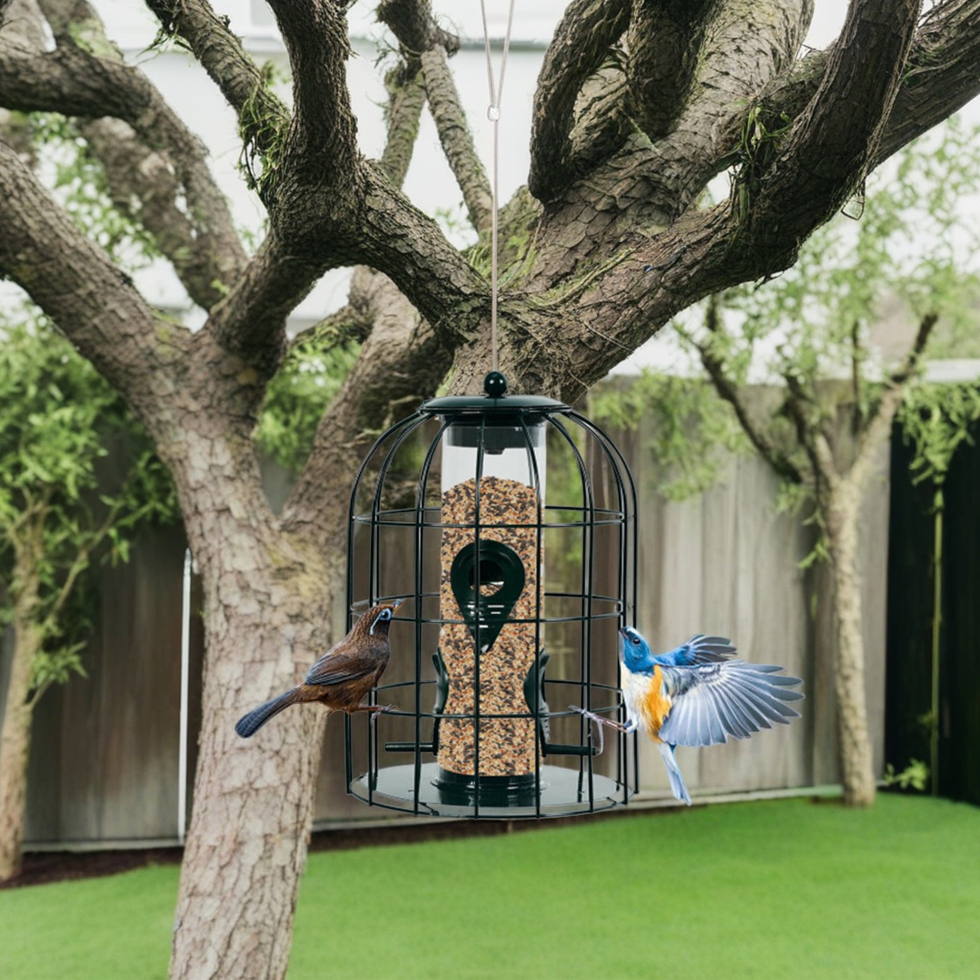 Pefilos 10" Bird Feeder for Outside Hanging, Metal Seed Guard Deterrent ...