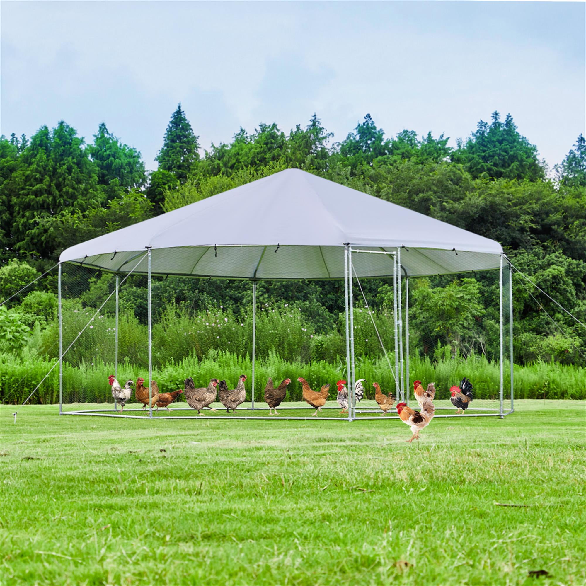 Pefilos 208" Outdoor Hexagonal Chicken Coop , Large Metal Hen House ...