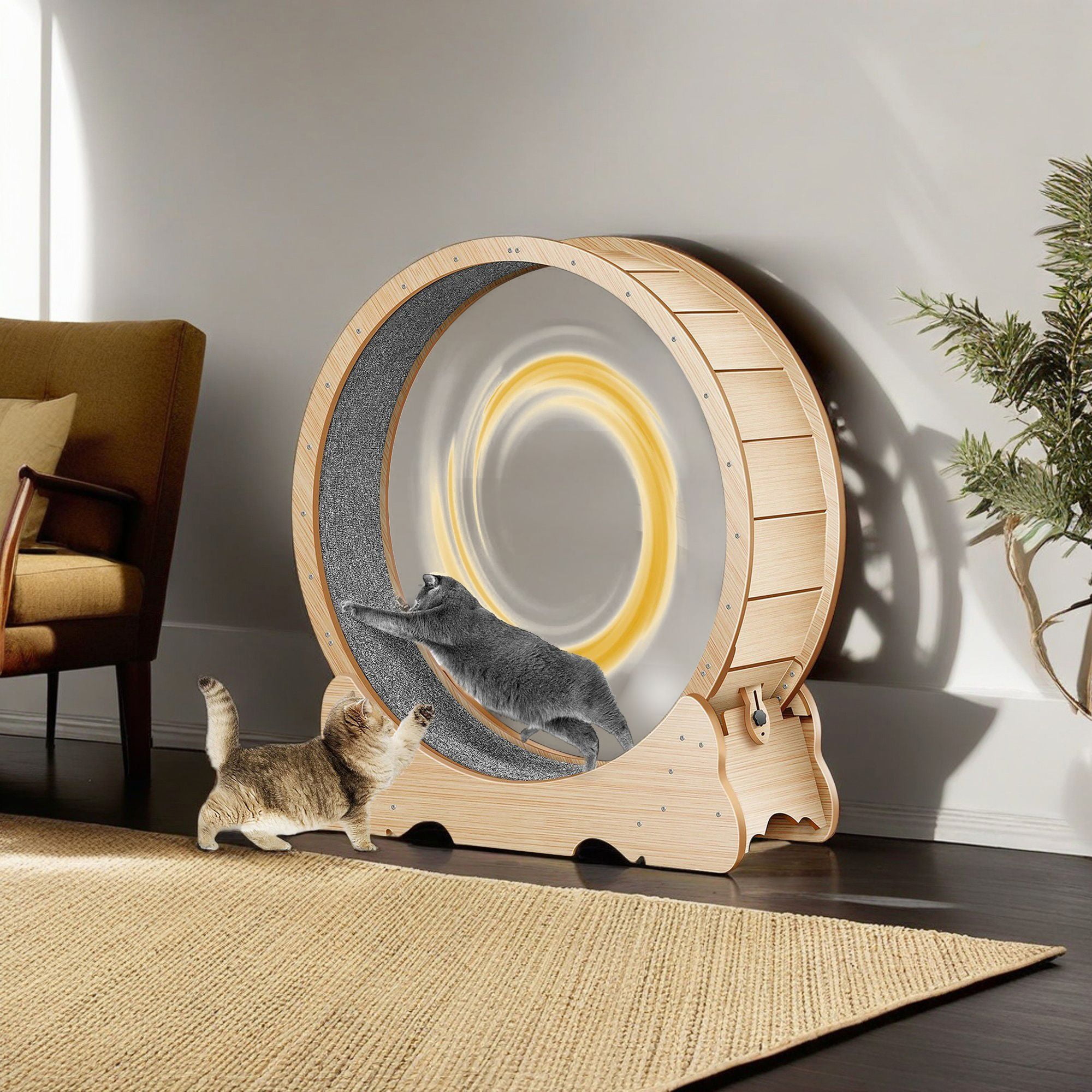 Pefilos 45" Cat Exercise Wheel for Indoor Cats, Large Cat Running ...