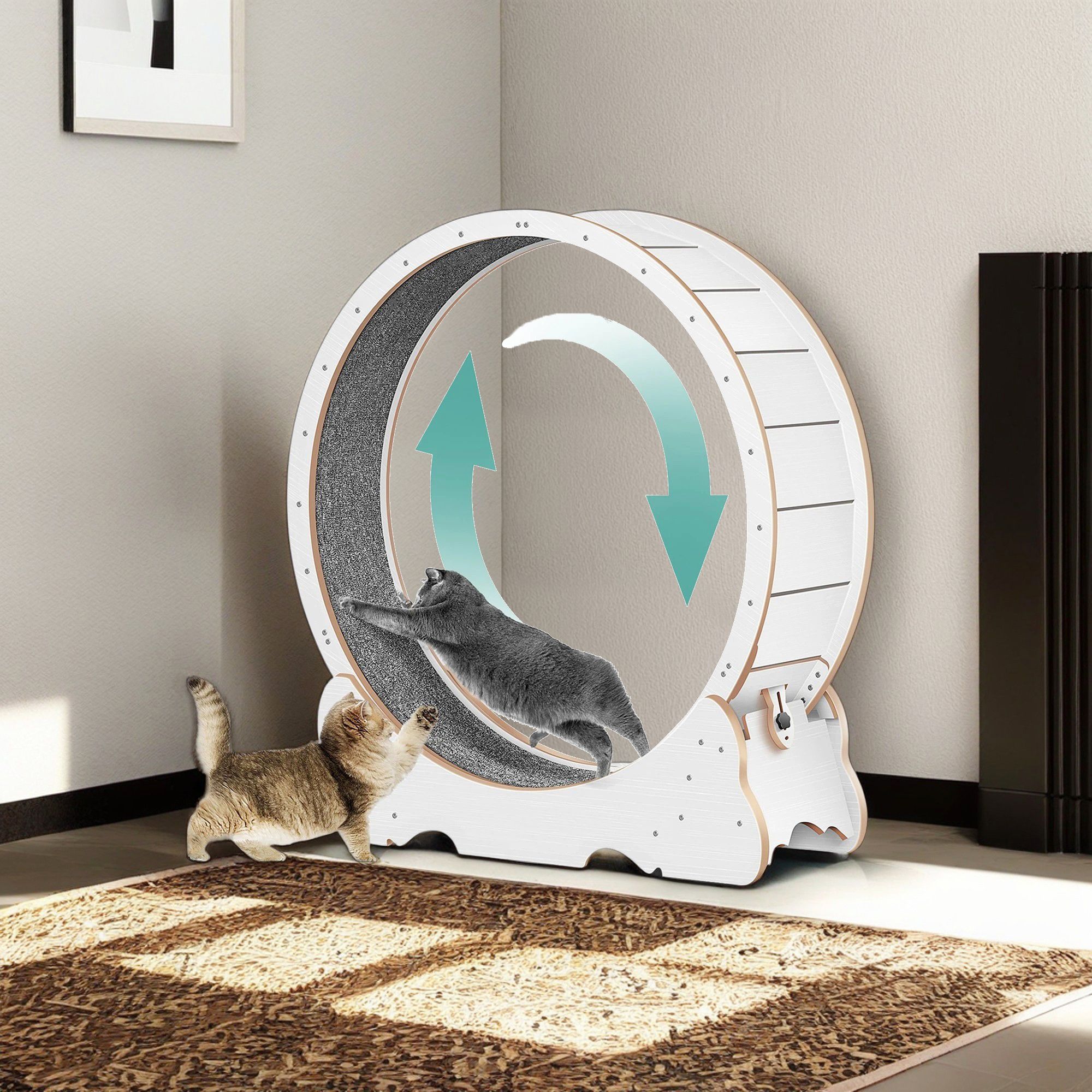 Pefilos 45" Cat Exercise Wheel for Indoor Cats, Large Cat Running ...