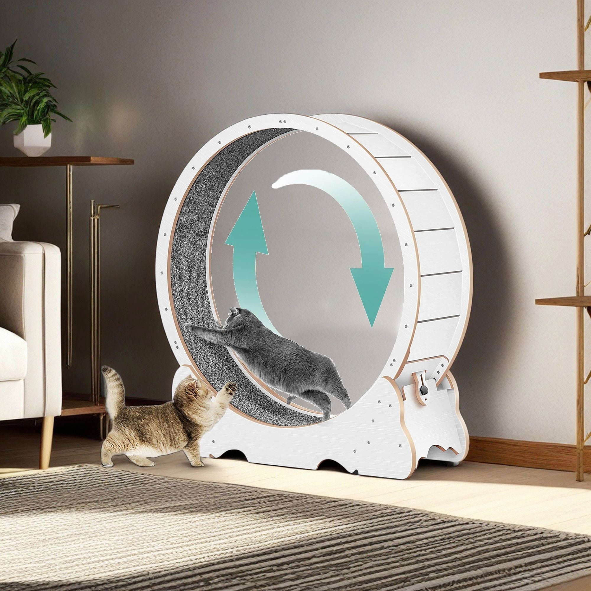 Pefilos 45" Large Cat Treadmill, Cat Exercise Treadmill with Carpeted ...