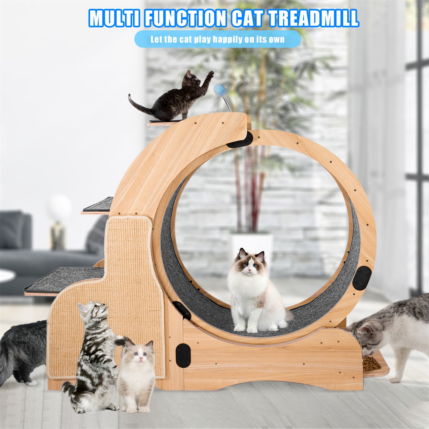 Pefilos 46 Cat Exercise Wheel For Indoor Cats Large Cat Running Pefilos 46 Cat Exercise Wheel For Indoor Cats Large Cat Running