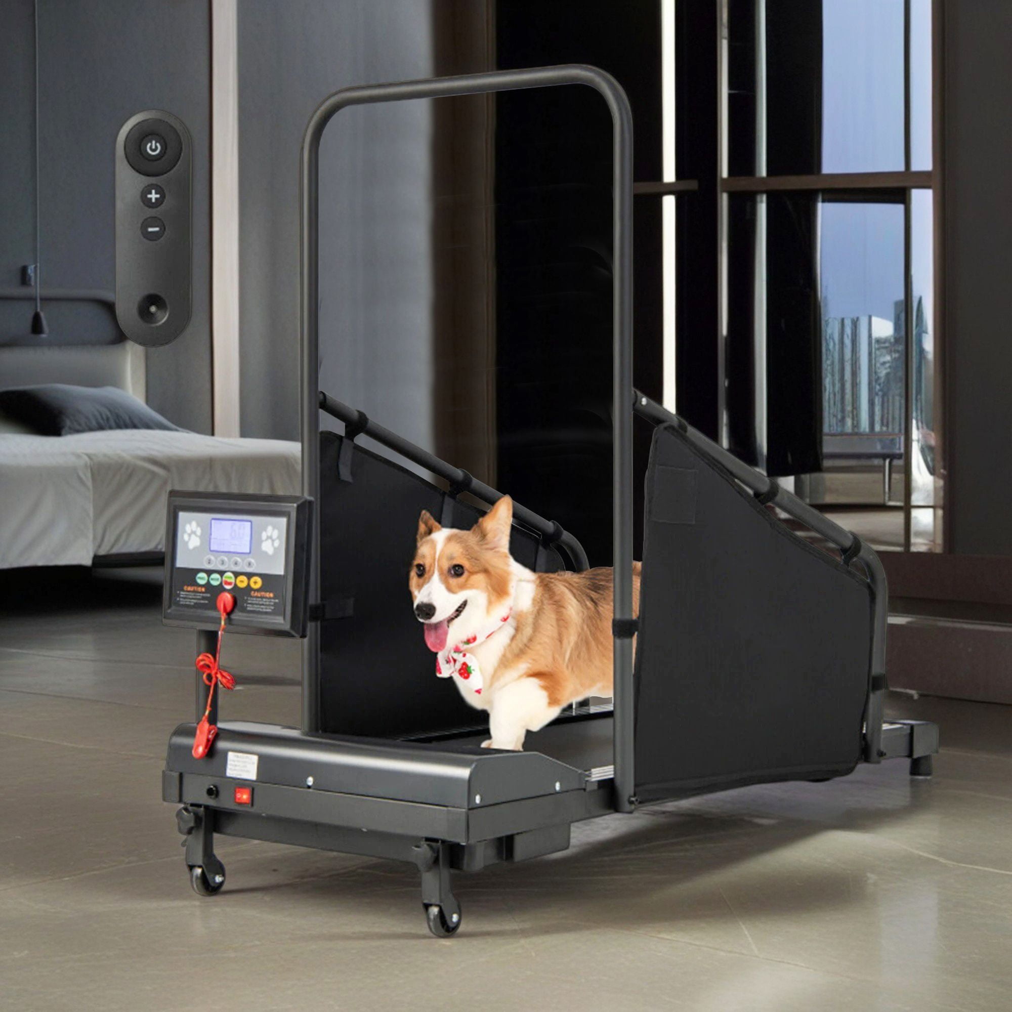 Pefilos 47" Dog Treadmill for Small and Medium Dogs, Pet Training ...