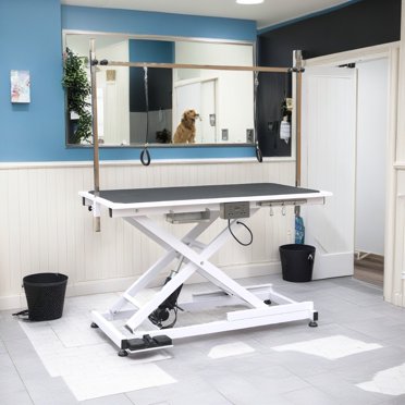 "Pefilos 42"" Electric Lift Dog Grooming Table for Large Dogs, Anti ...