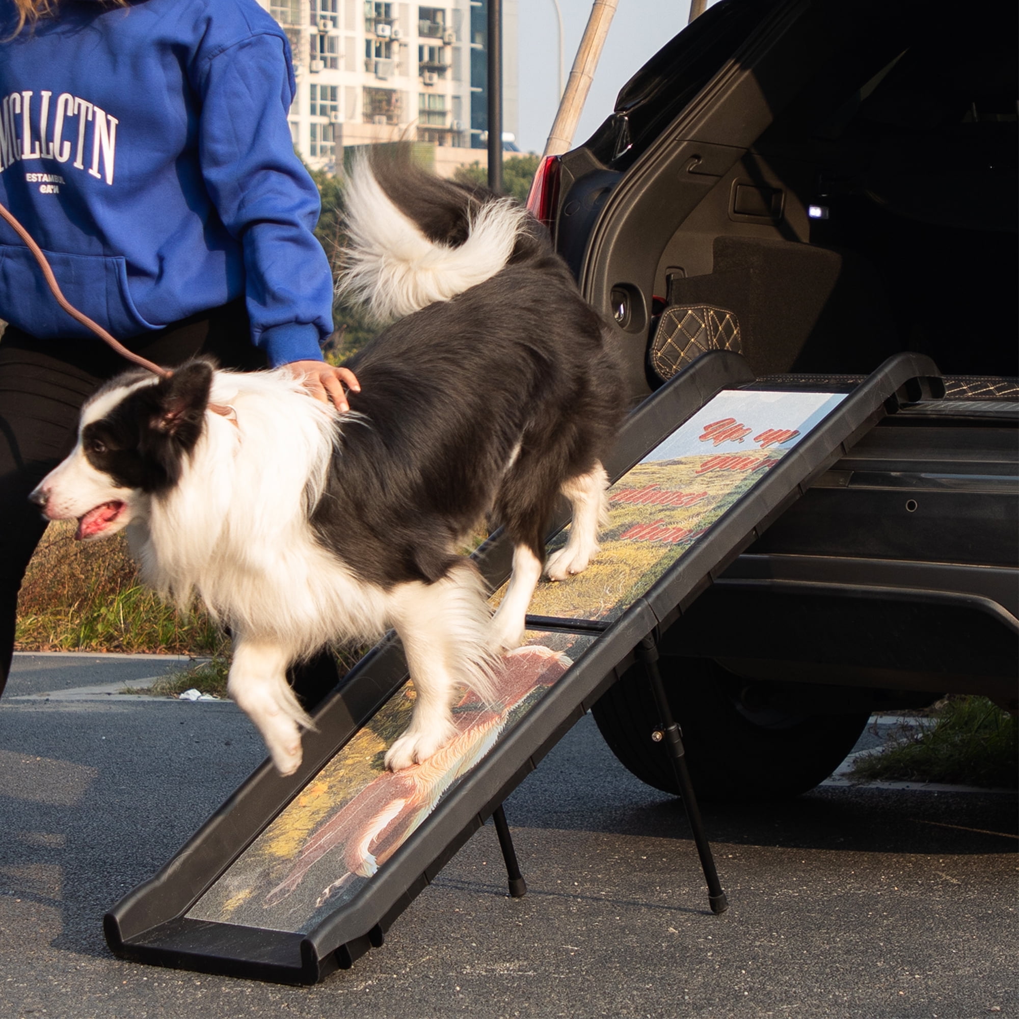 Pefilos 61" Pet Ramp for Small Dog & Cat, Folding Dog Ramp for Trucks ...