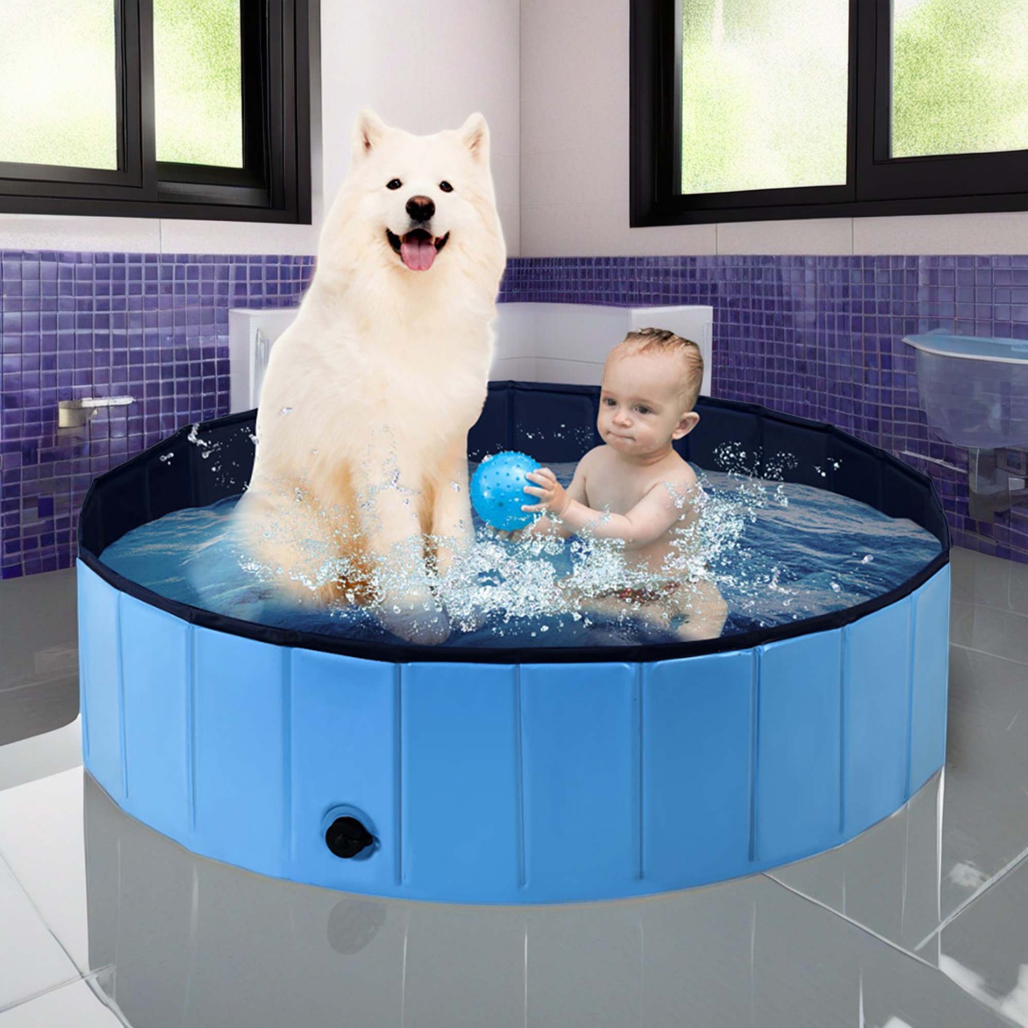 Pefilos Foldable PVC Swimming Pool, Dog Blue, 63" x11.8" - Walmart.com