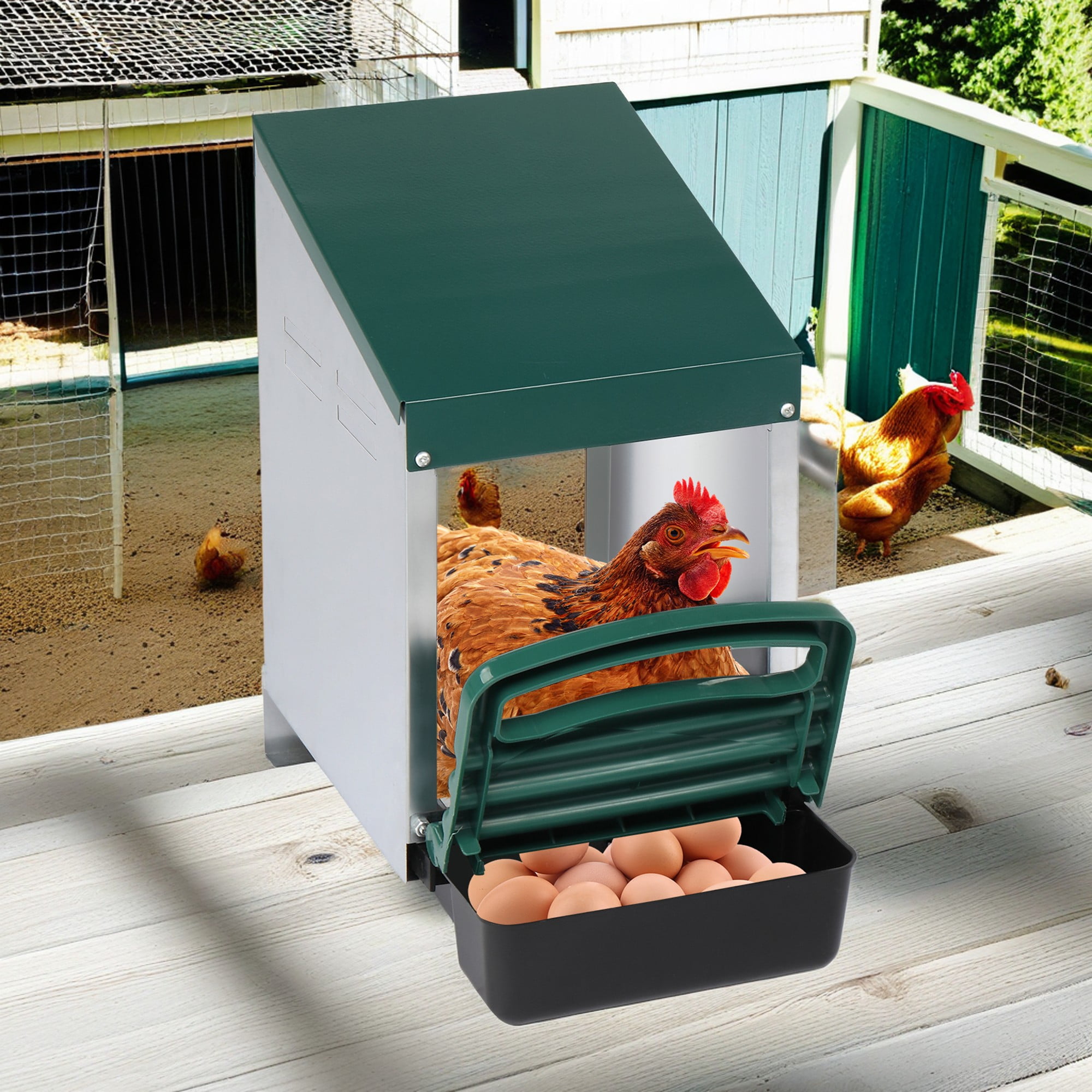 Pefilos Chicken Nesting Box, Single Compartment Metal Chicken Laying ...