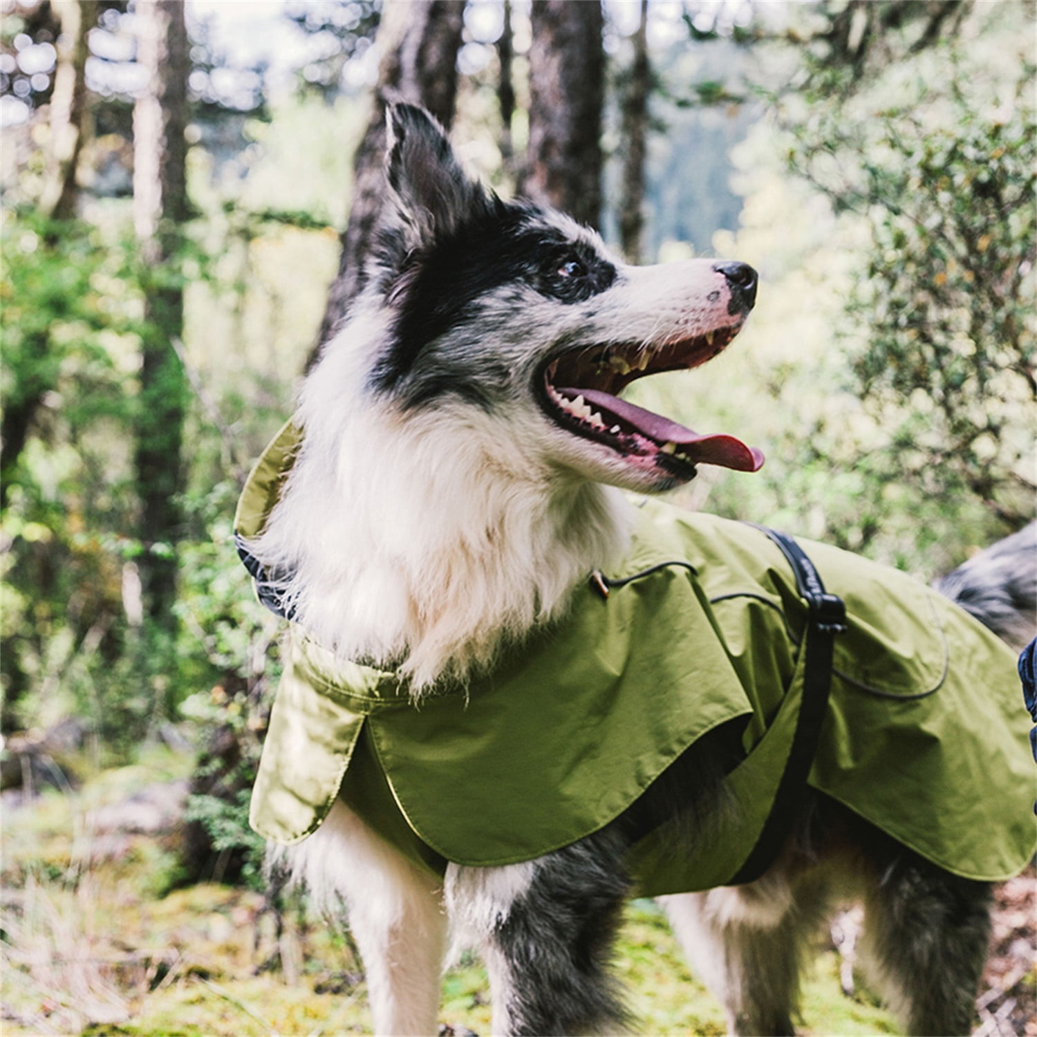 Pefilos Pet Dog Coats for Small Dogs Girl Cozy Waterproof Windproof ...