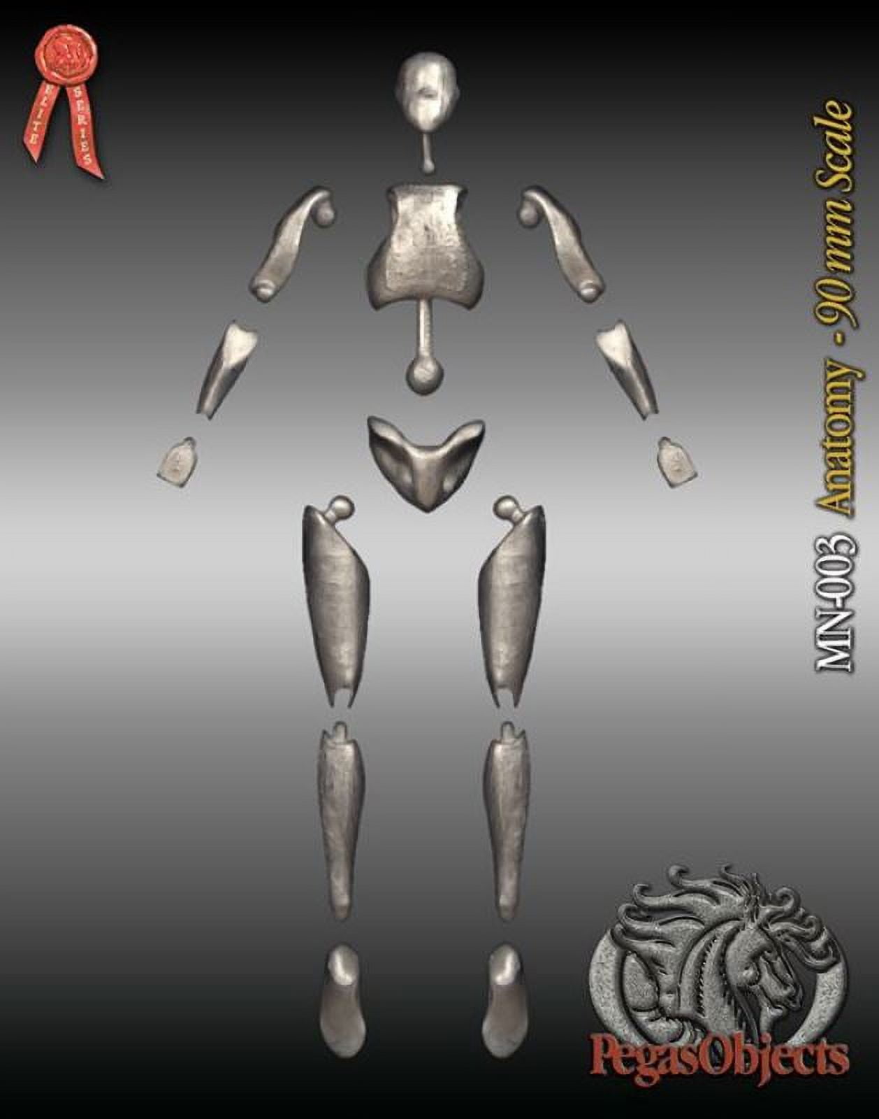 Pegaso Models 90mm Anatomy White Metal Figure Sculpting Base Mannequin ...