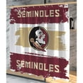 Pegasus Florida State Seminoles Shower Curtain & Bath Mat Set - Walmart.com