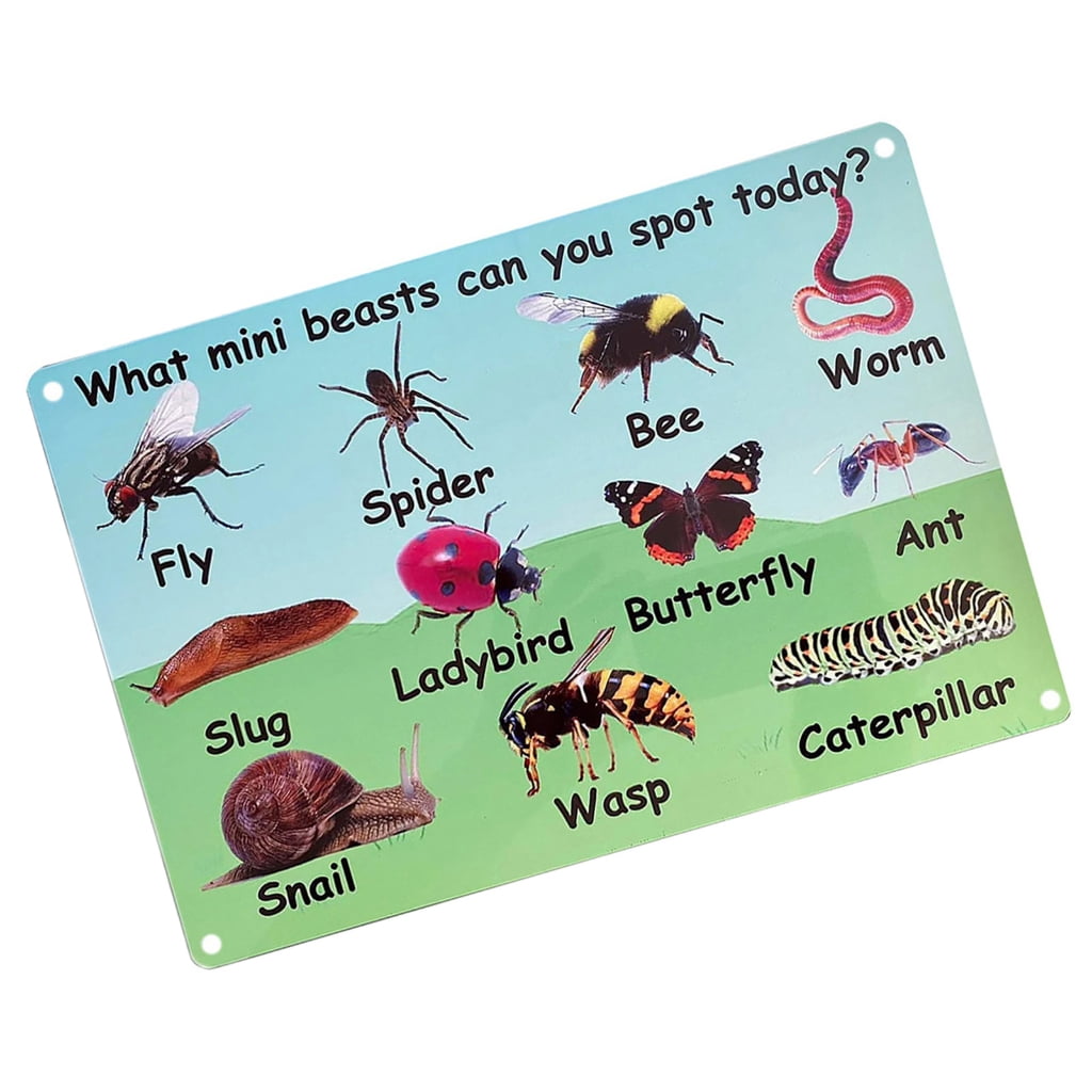 Peiiwdc Interactive Wood Animals Identification Board for Kids Hanging ...