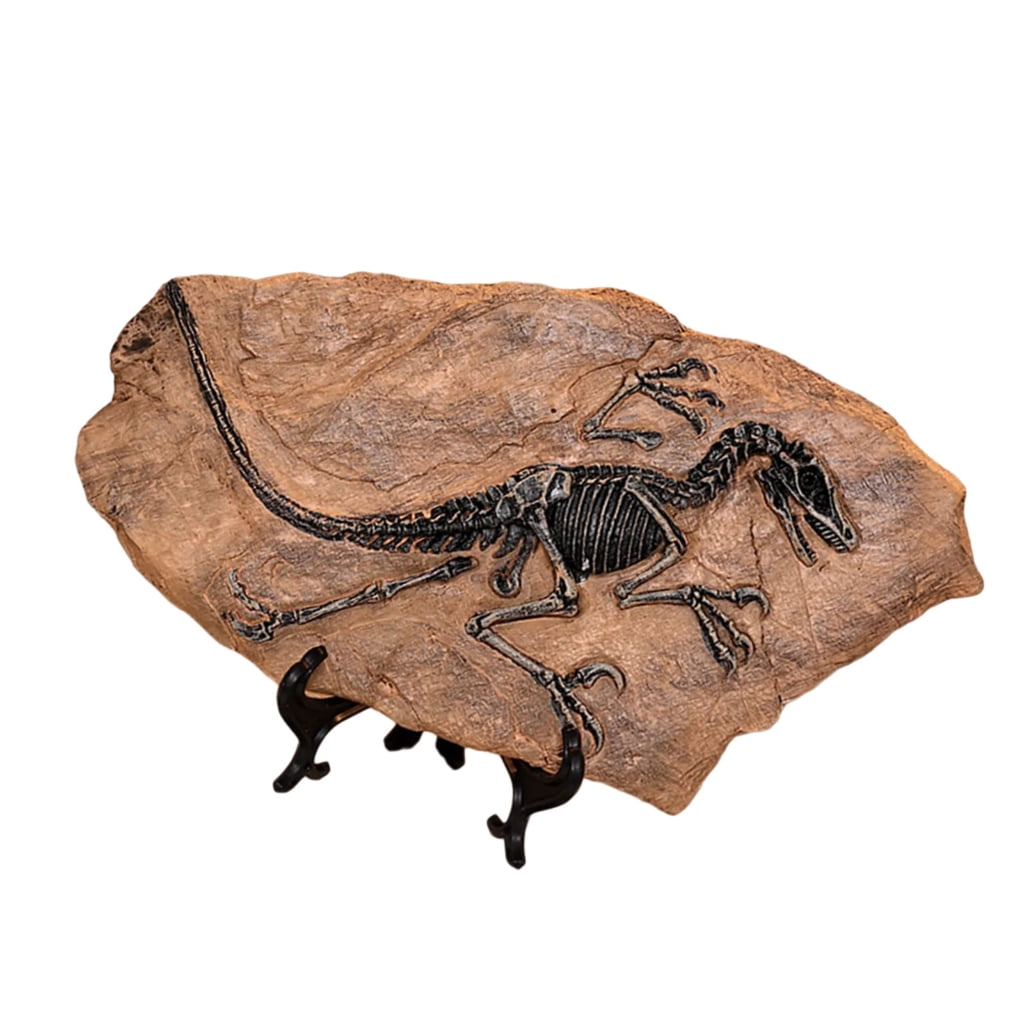 Peiiwdc Realistic Dinosaur Skeleton Fossils Resins Statue Figurine ...