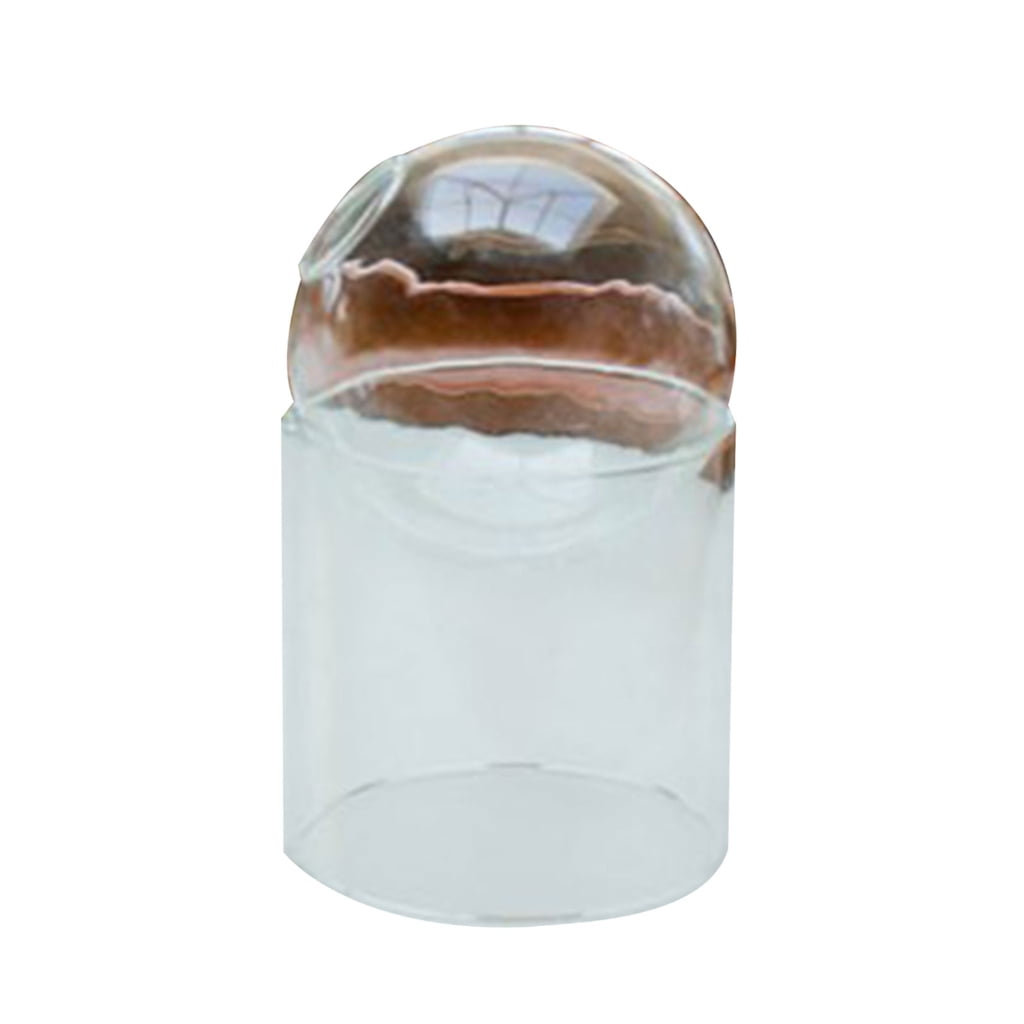 Peiiwdc Spheroidal Glass Vase Flower Arrangement Hydroponic Plant Vase ...