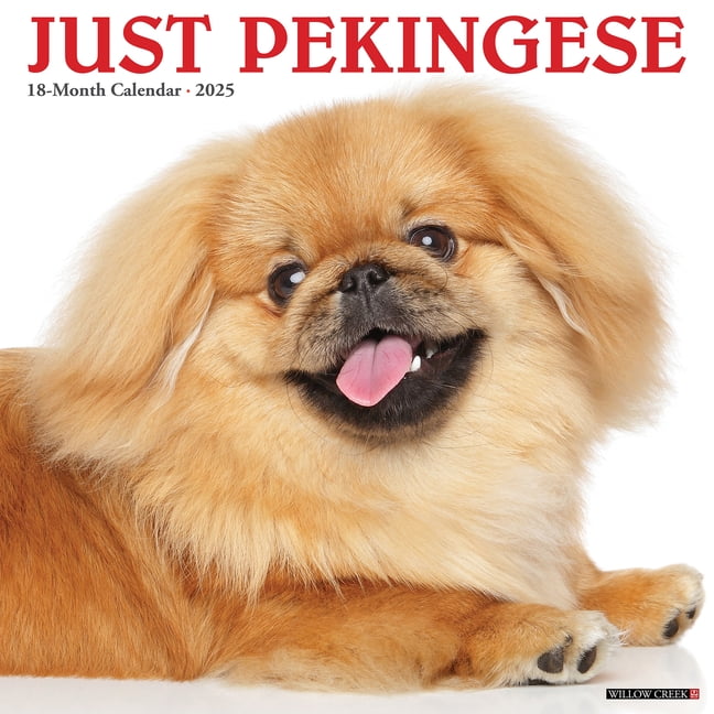 Pekingese 2025 Wall Calendar - Walmart.com