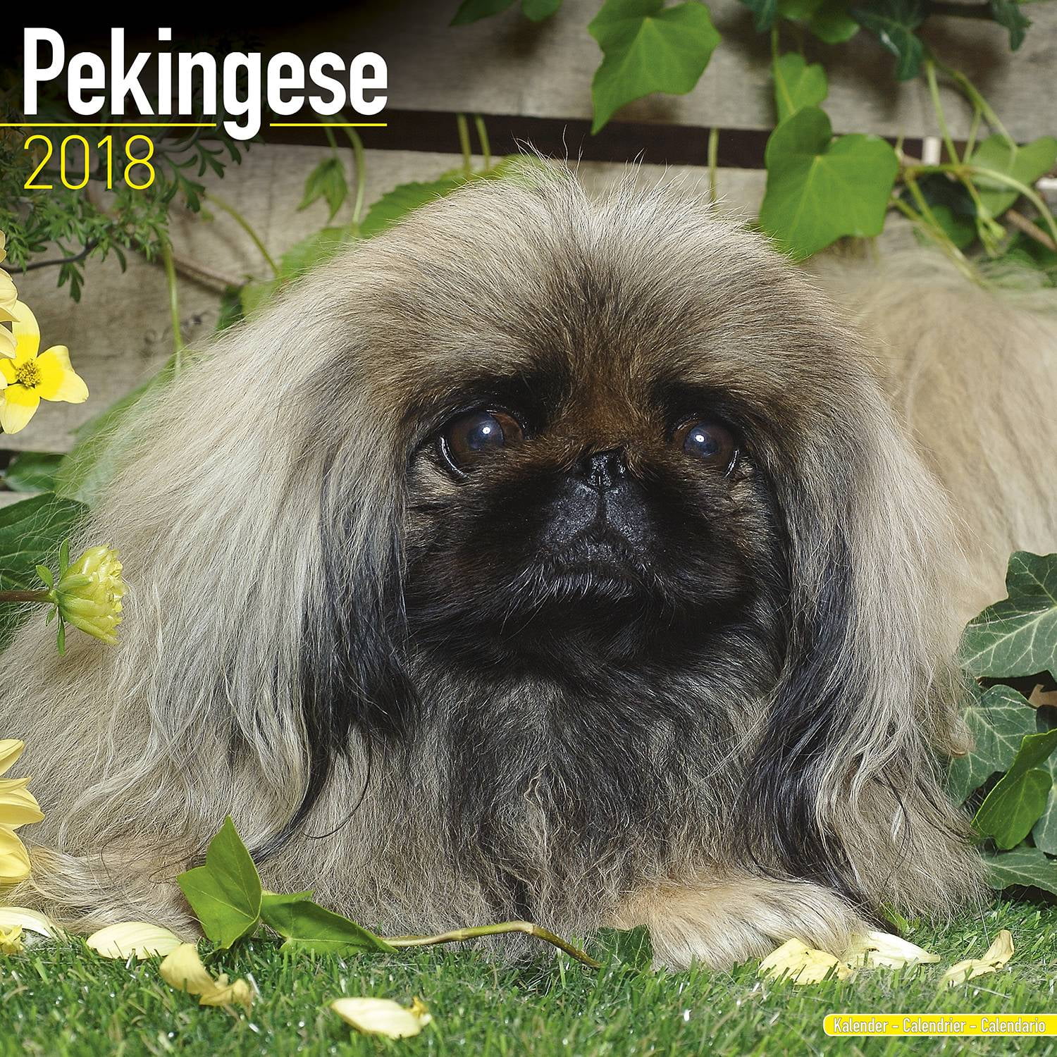 Pekingese Calendar 2018 - Dog Breed Calendar - Wall Calendar 2017-2018 ...