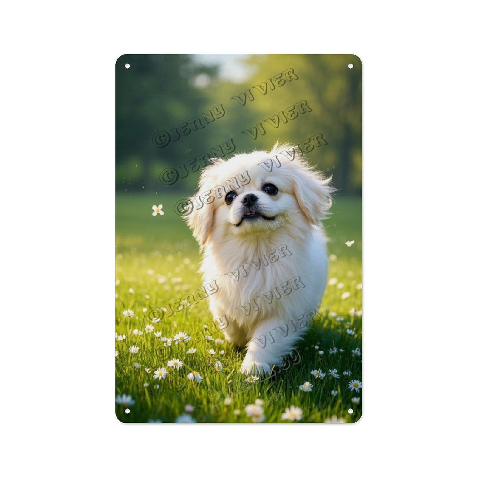 Pekingese Dog Relaxing on The Grass Decorative Tin Sign for Pet Lovers ...